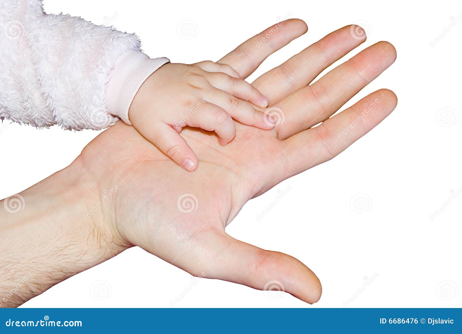 Two Hands Isolated on White Stock Photo - Image of baby, grip: 6686476
