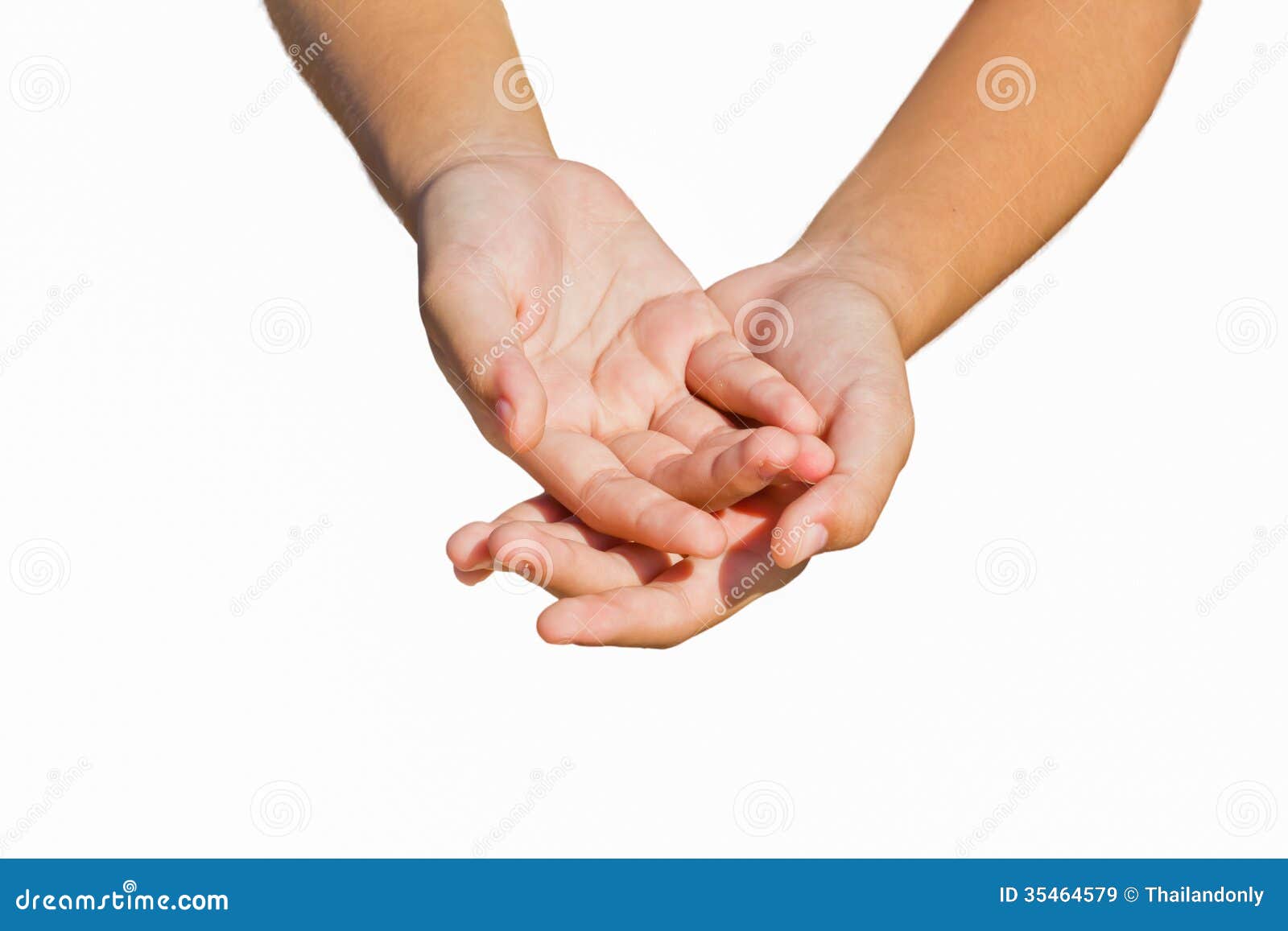 Two Hands Isolated on White Background Stock Image - Image of blank ...