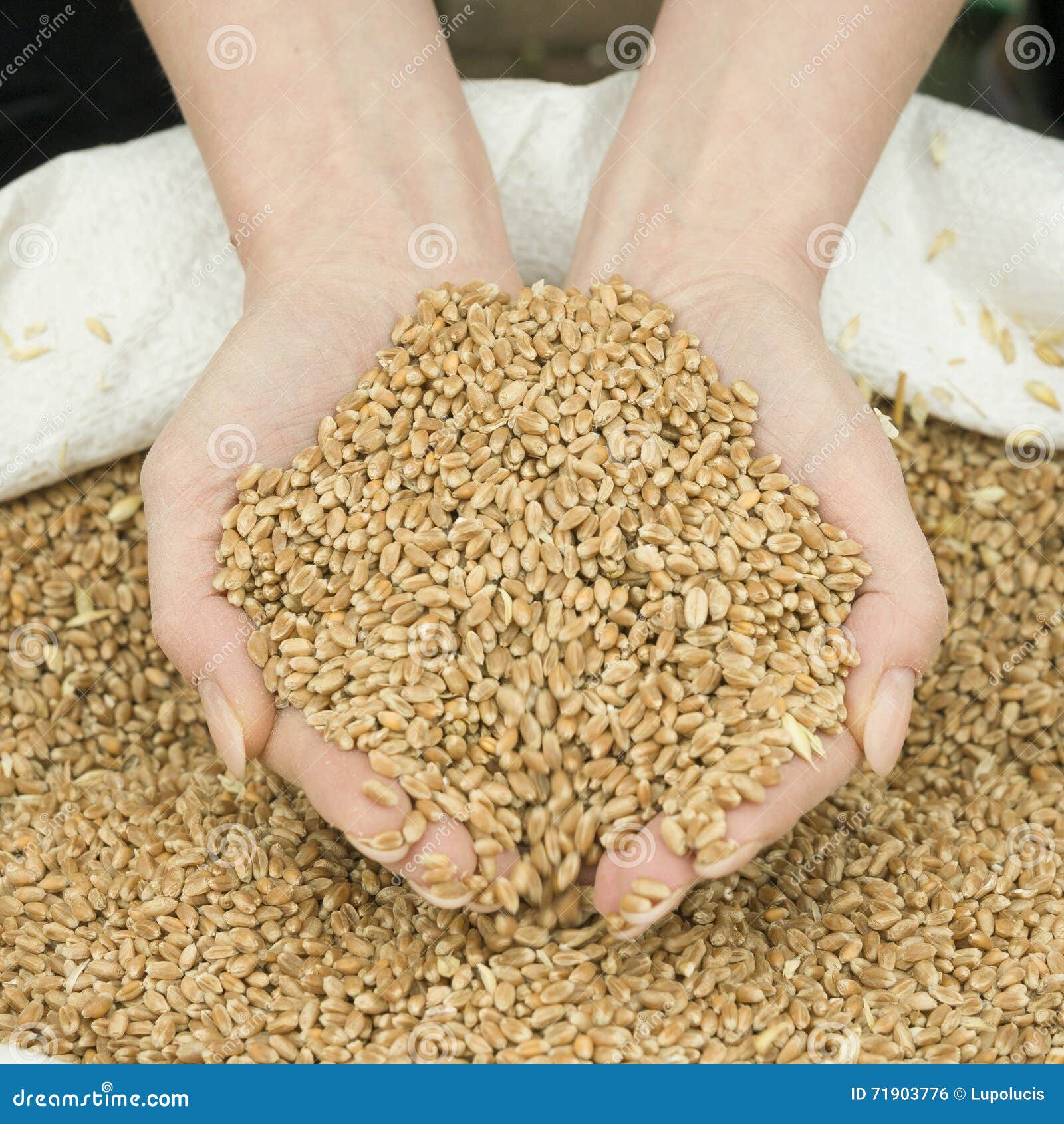 Sack Detail Texture Background Royalty-Free Stock Image | CartoonDealer ...