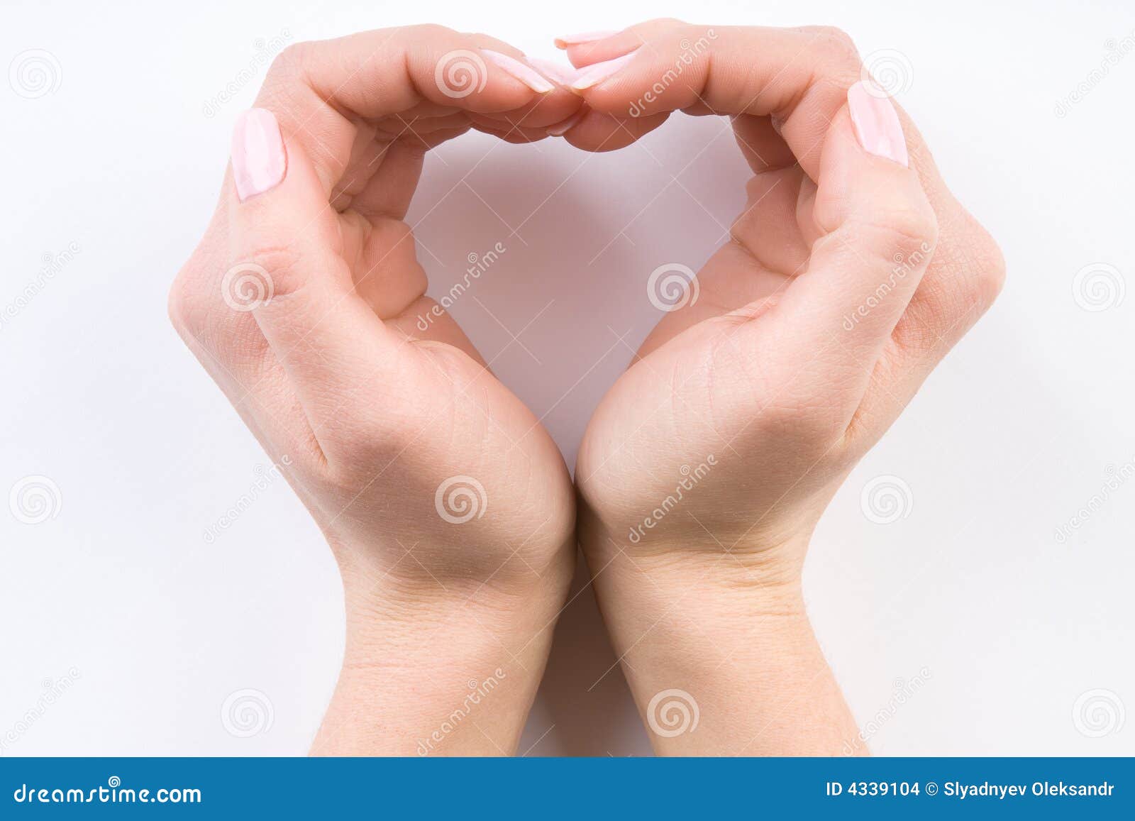 Two hands of a lady stock photo. Image of healthy, body - 4339104