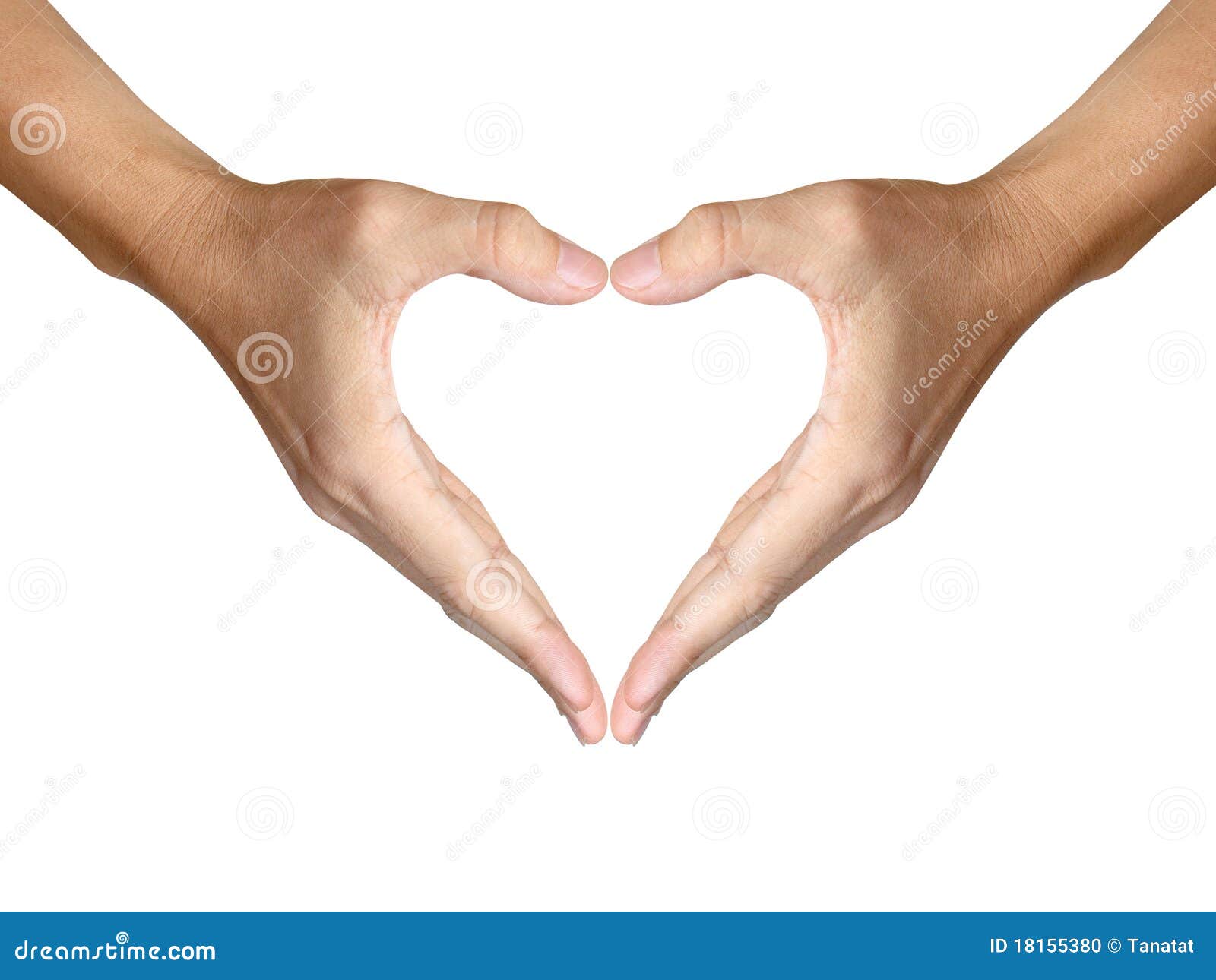 Two Hands Make Heart Shape on White Stock Photo - Image of heart, hand ...