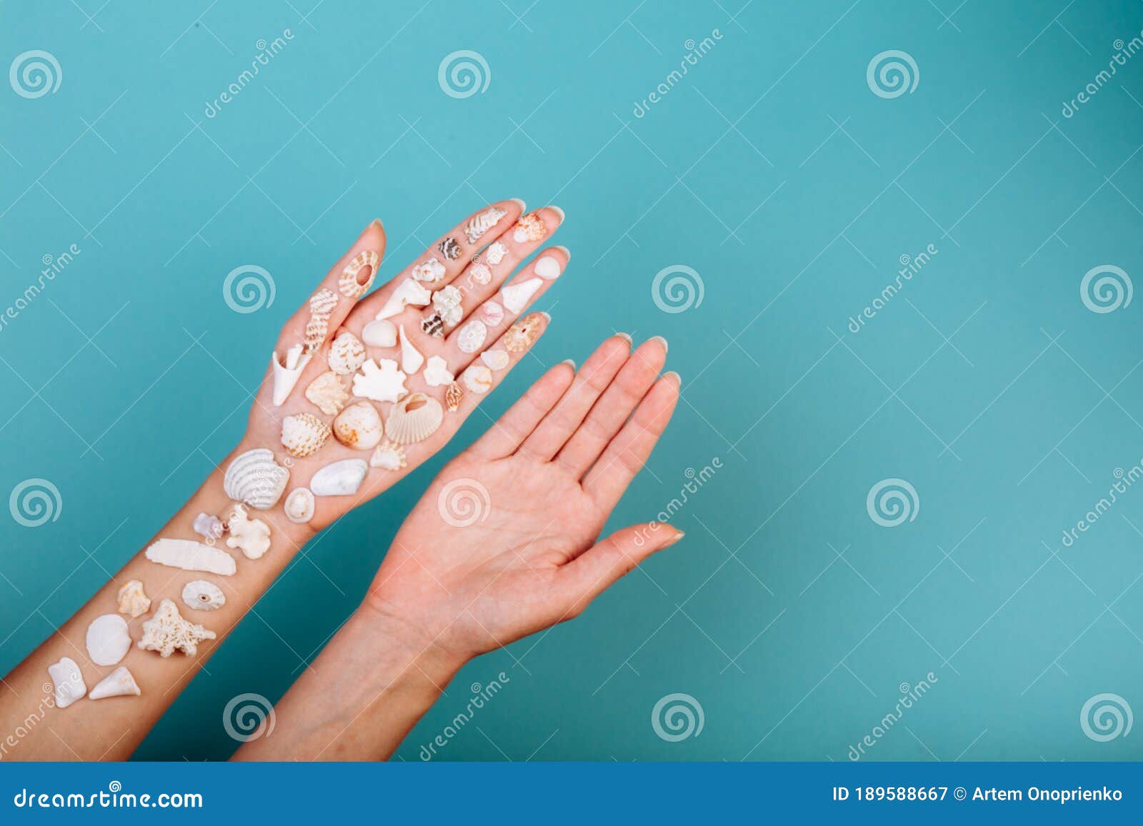 Two Hands: One without Any Shell Another Holds Various Shape Sea Shells ...