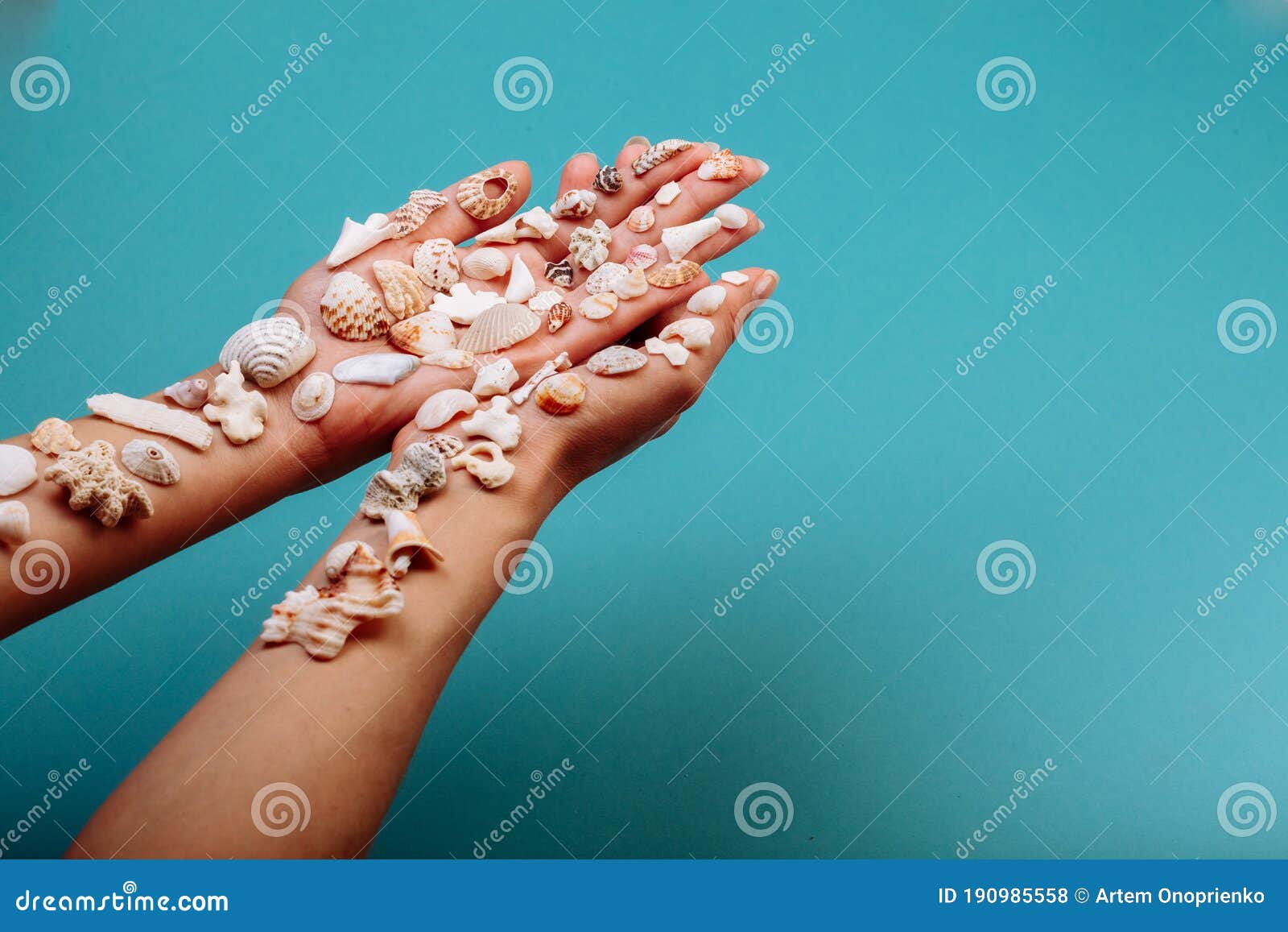Two Hands: One without Any Shell Another Holds Various Shape Sea Shells ...