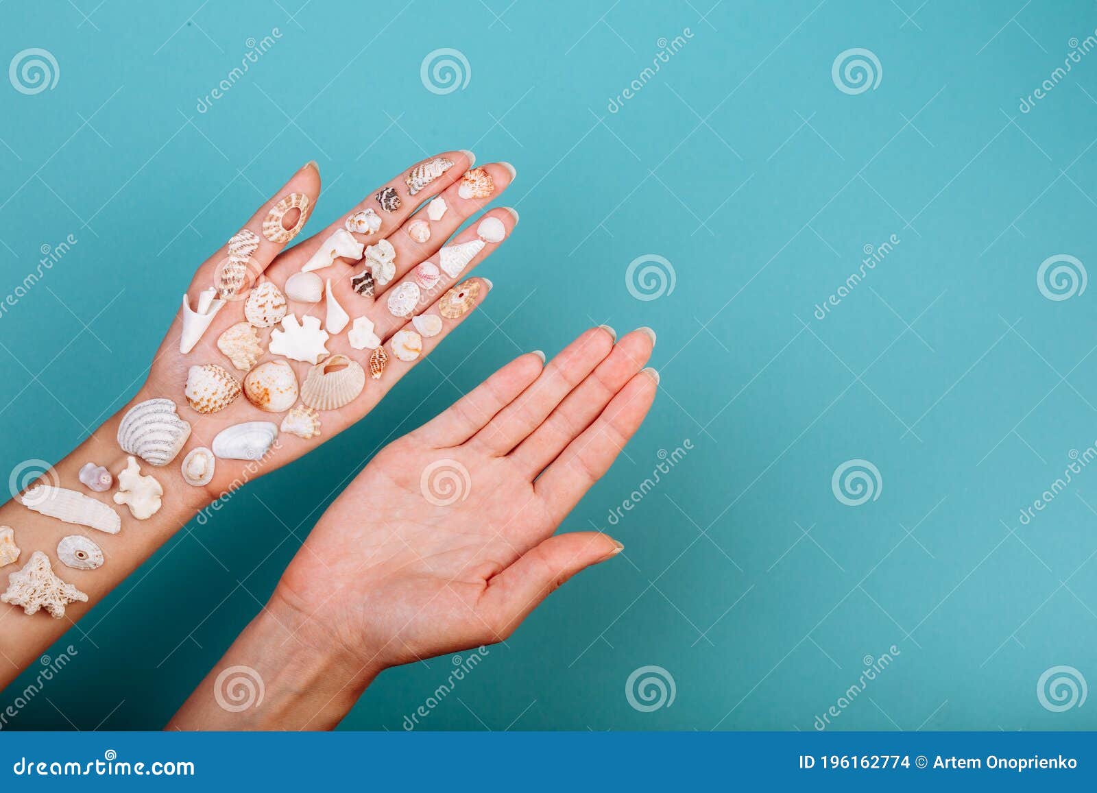 Two Hands: One without Any Shell Another Holds Various Shape Sea Shells ...