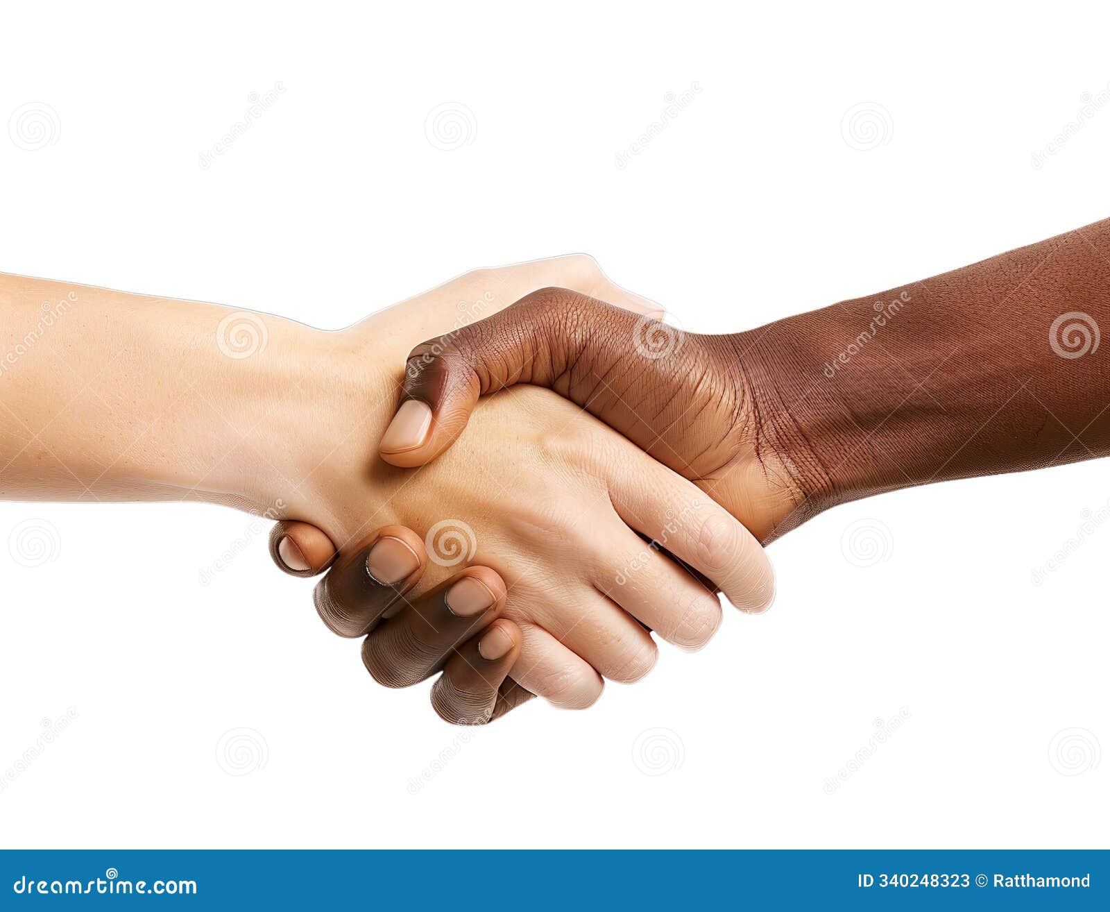 Two Hands, One Light-skinned and One Dark-skinned, Clasp in a Firm ...