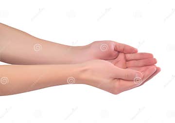 Two hands. open palms stock vector. Illustration of palm - 176912767