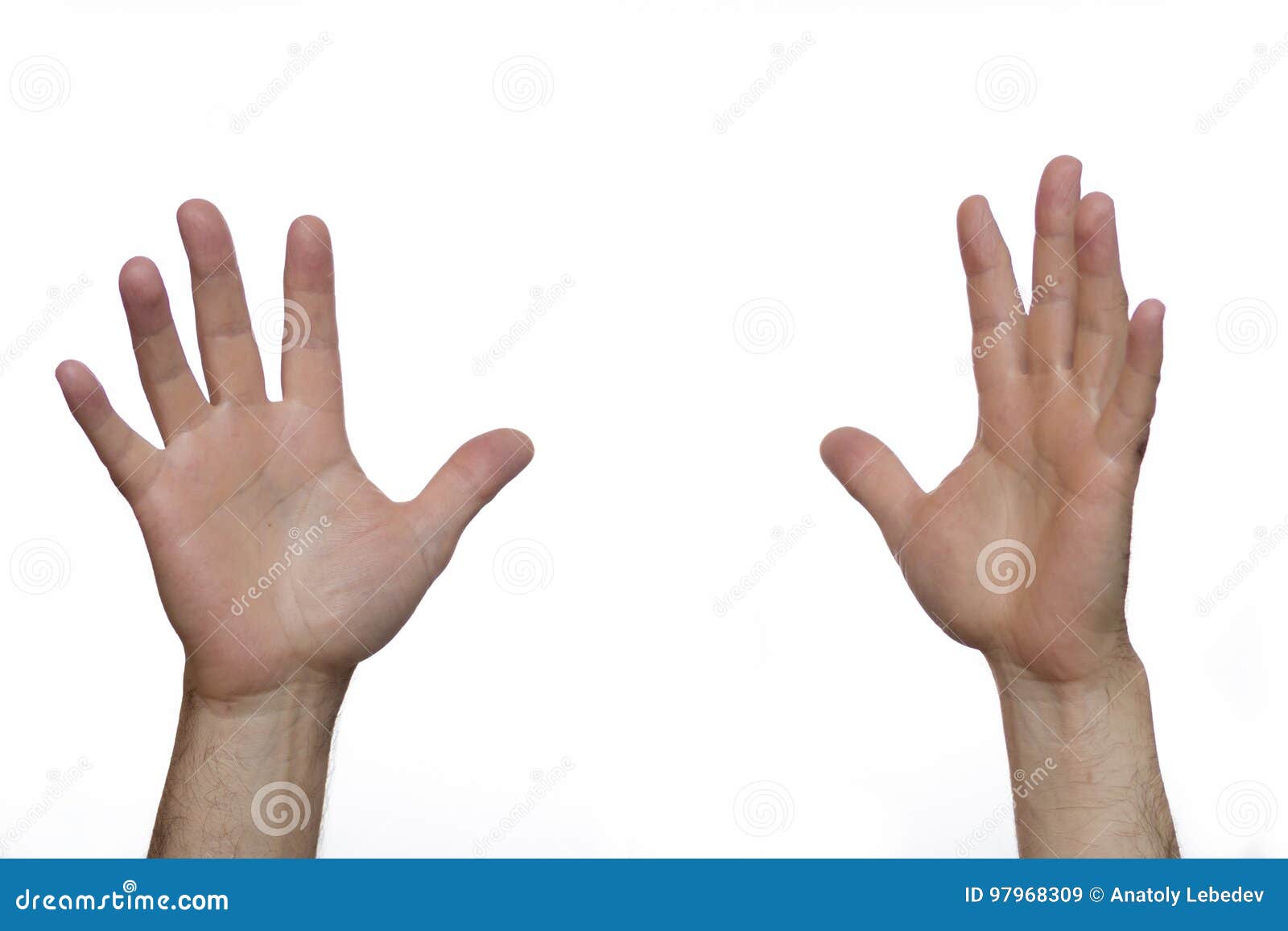 Two Hands are Raised To the Top Stock Image - Image of raised, fingers ...