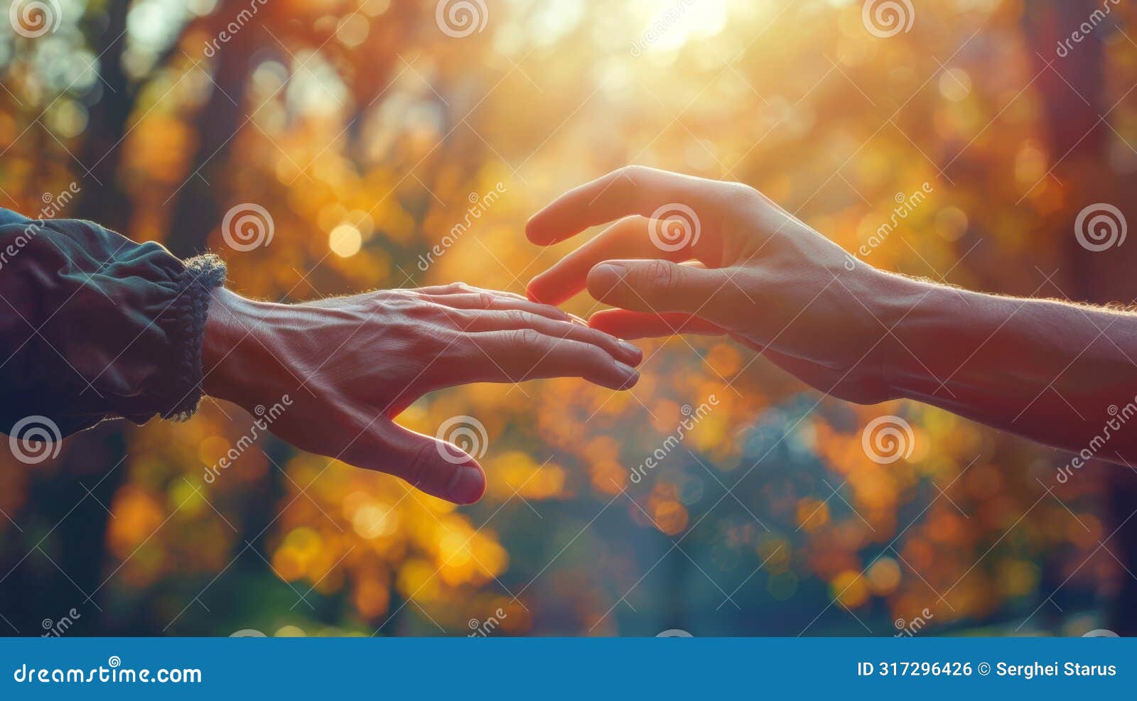 Two Hands Reaching Out To Each Other in Front of a Forest, AI Stock ...