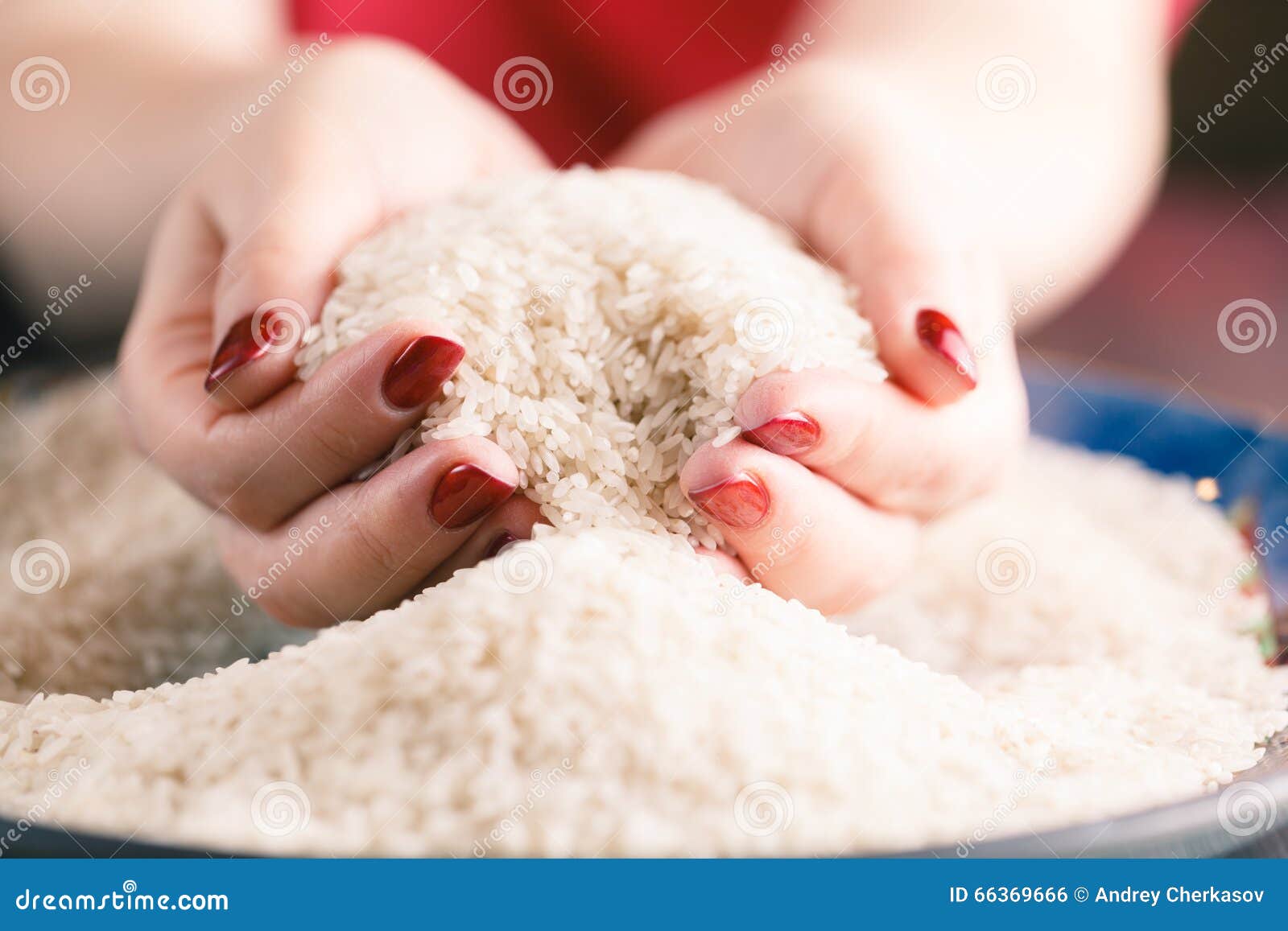 Two Hands with Rice Grains Over Plate Stock Photo - Image of harvest ...