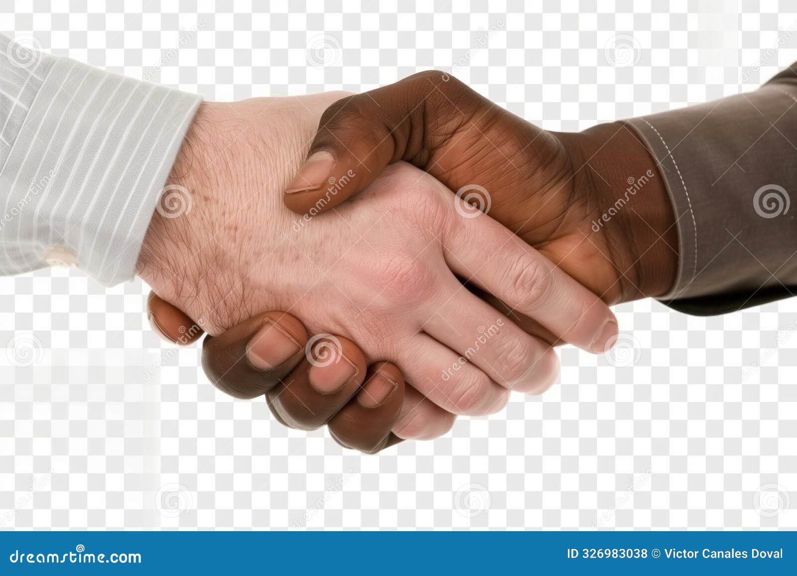 Two Multiracial Men Hands in a Handshake on Transparent Background ...