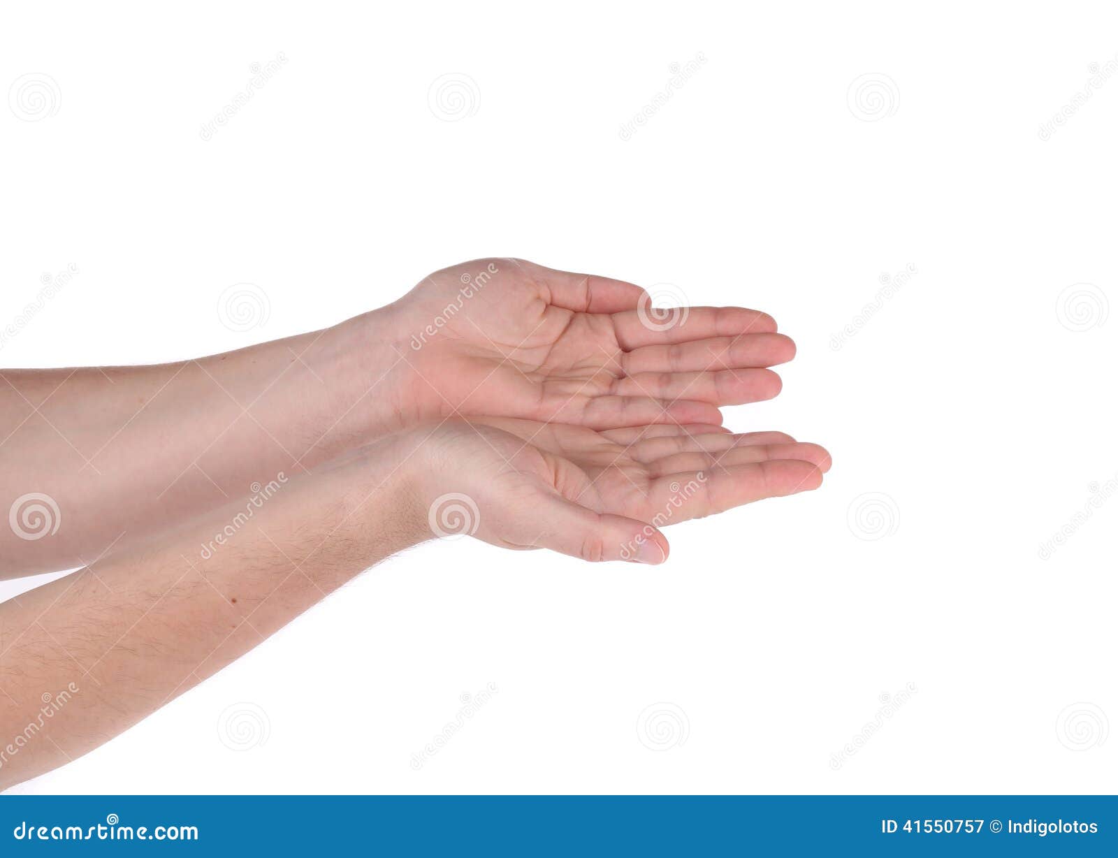 Two hands show something. stock image. Image of caucasian - 41550757