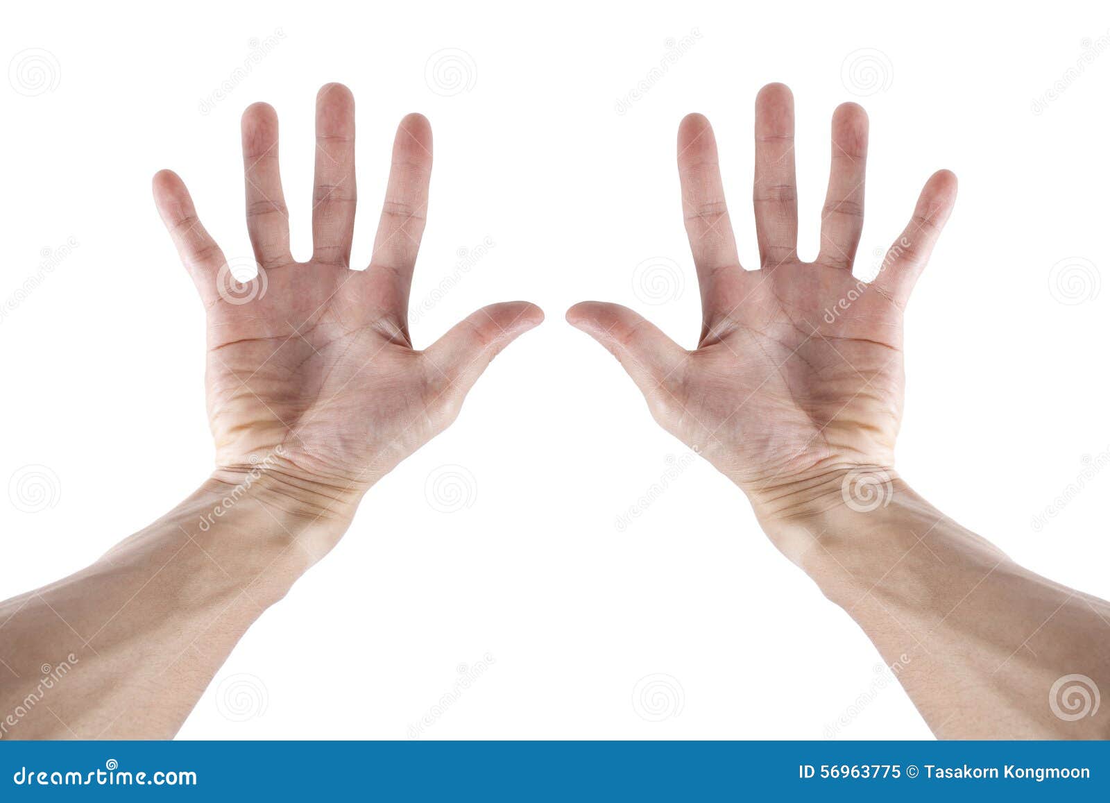 Two Hands and Ten Fingers Isolated on White Stock Image - Image of help ...