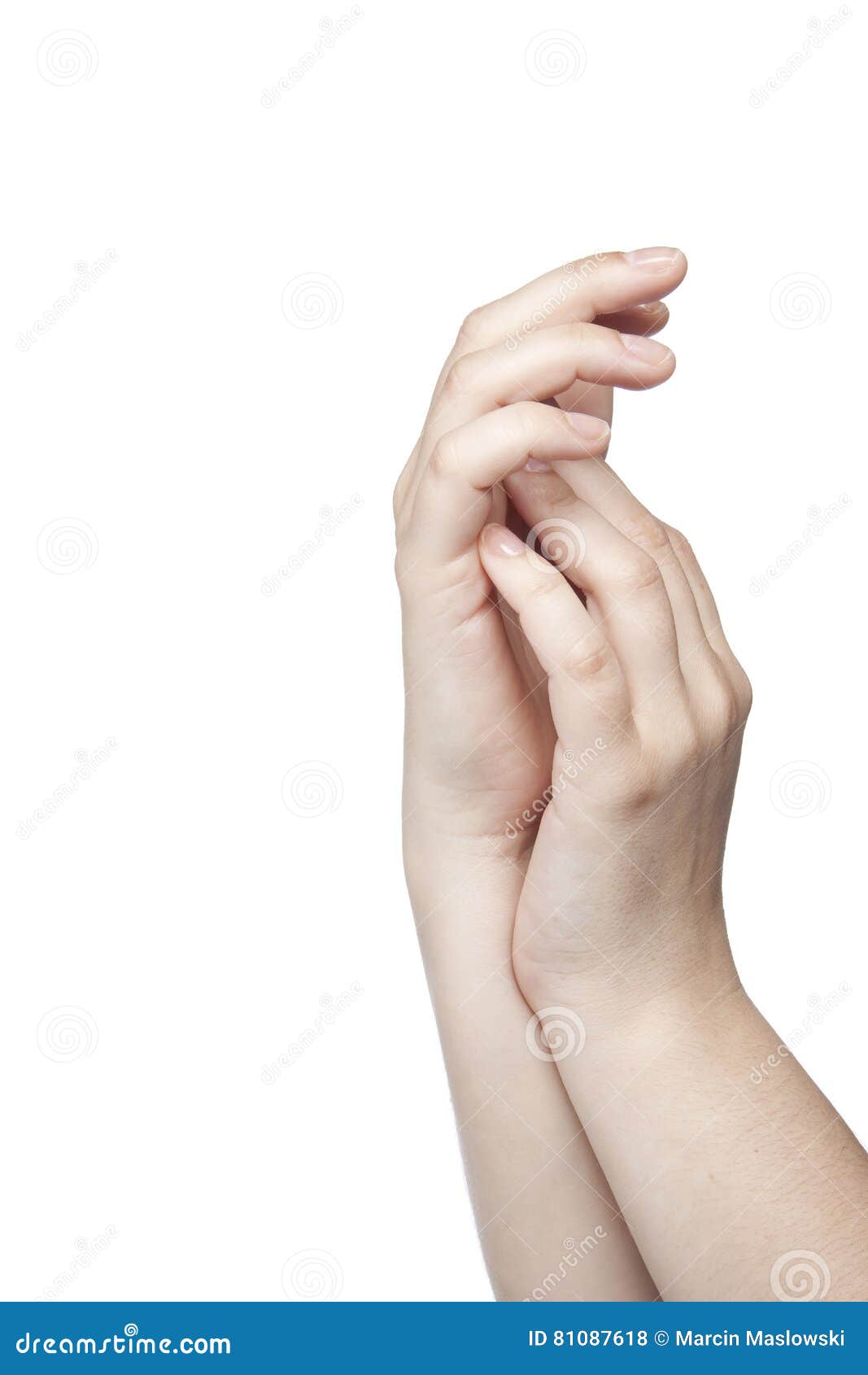 Two Hands Touching One Another, White Background Stock Photo - Image of ...