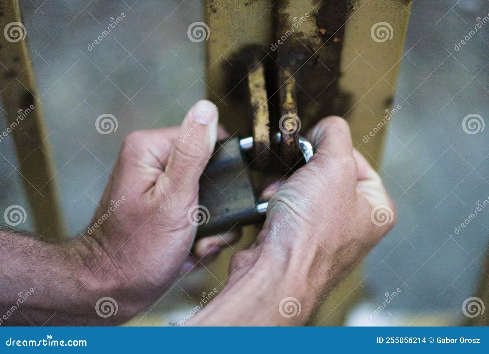 Two Hands Trying To Separate a Lock that is Locked Stock Photo - Image ...