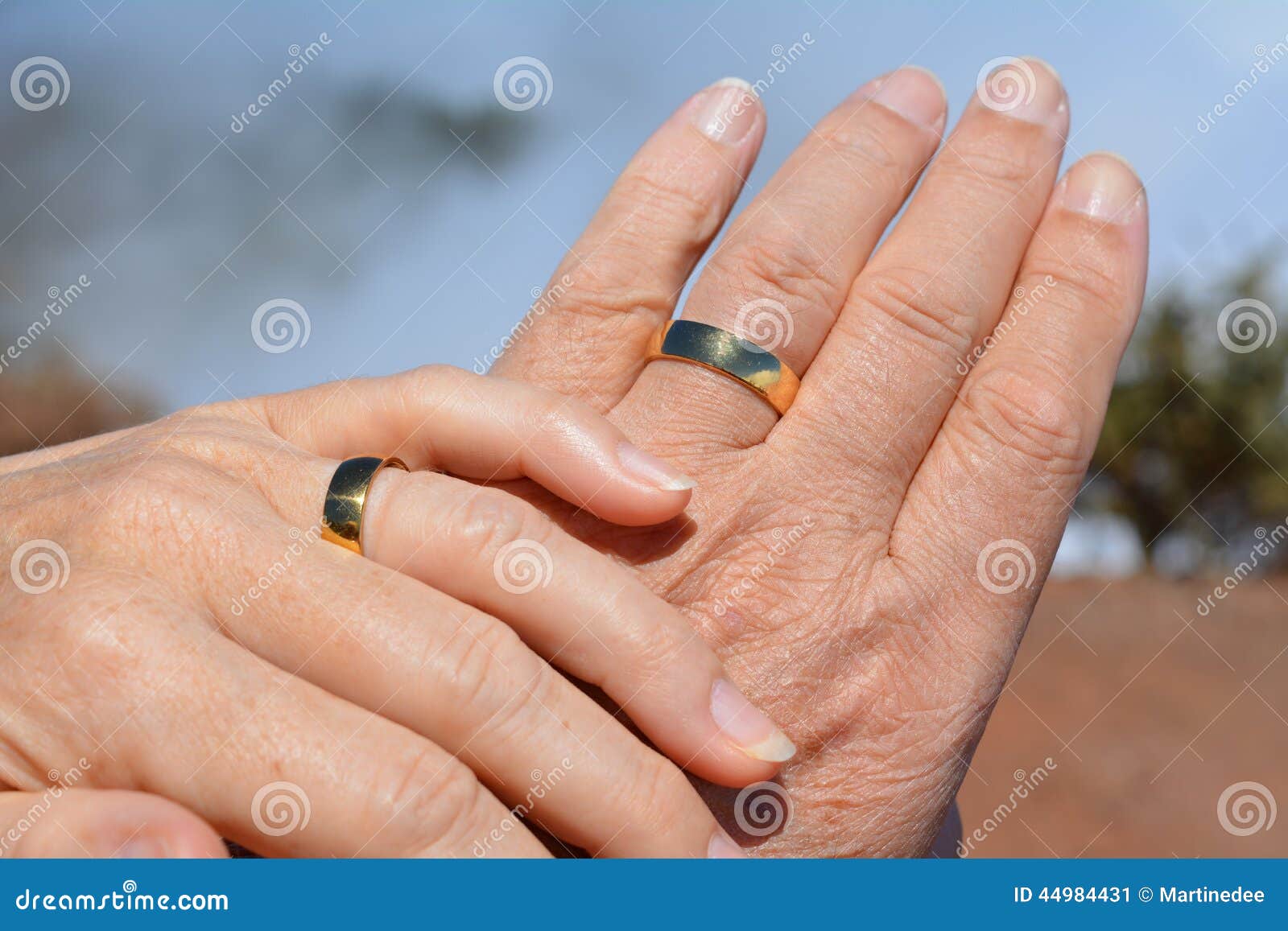 Two Hands. Woman Hand in Man Hand. Stock Image - Image of people ...