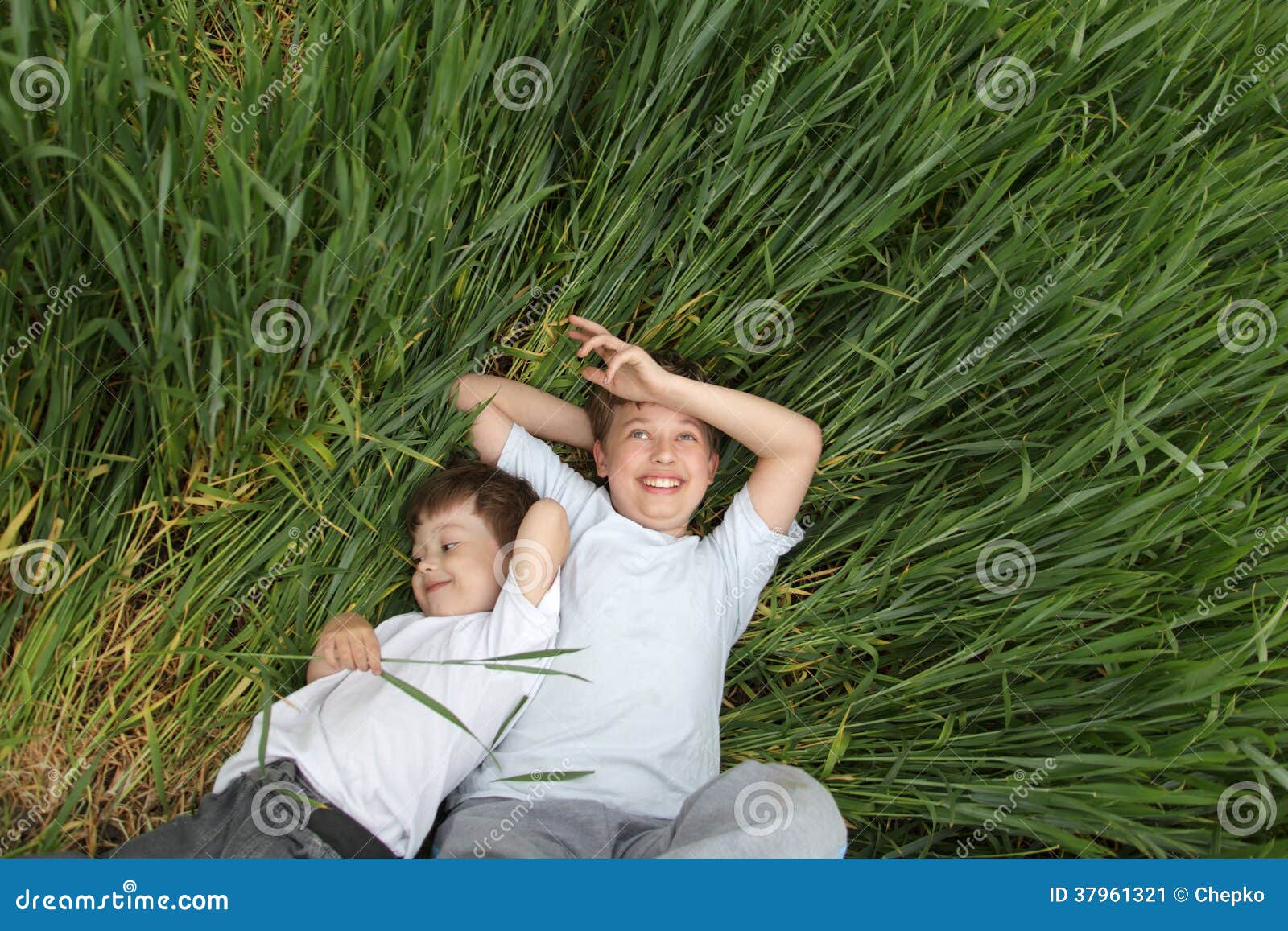 Two happy boy lay in grass stock image. Image of cheerful - 37961321