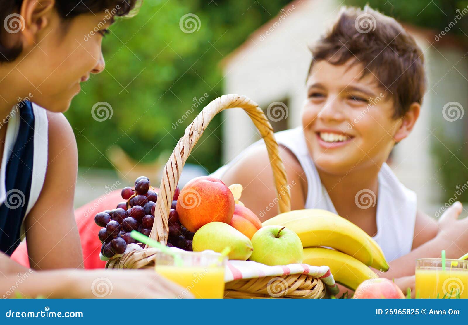 Two happy boy on picnic stock image. Image of fruit, focus - 26965825