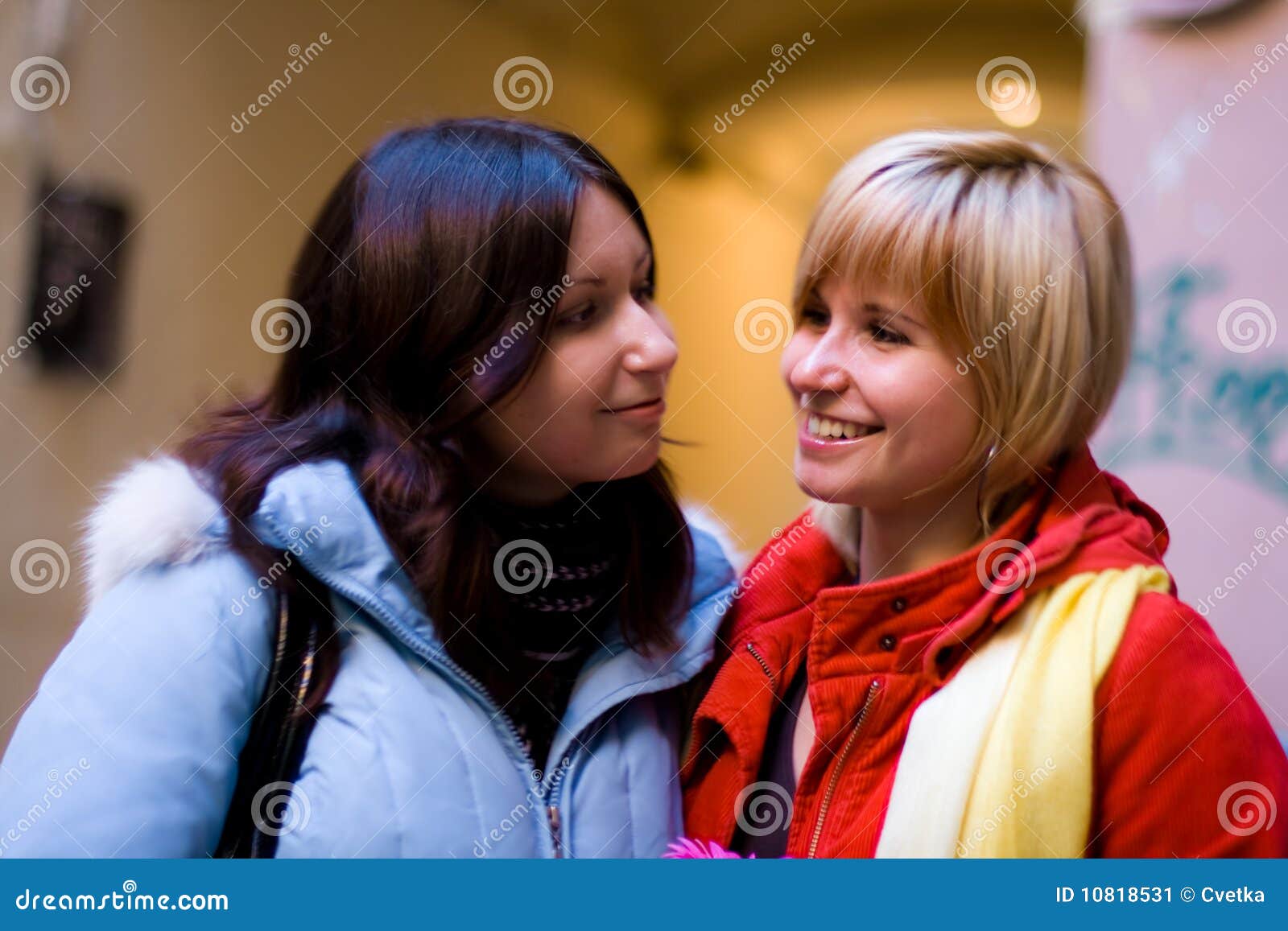 Two happy friends girl stock image. Image of attractive - 10818531
