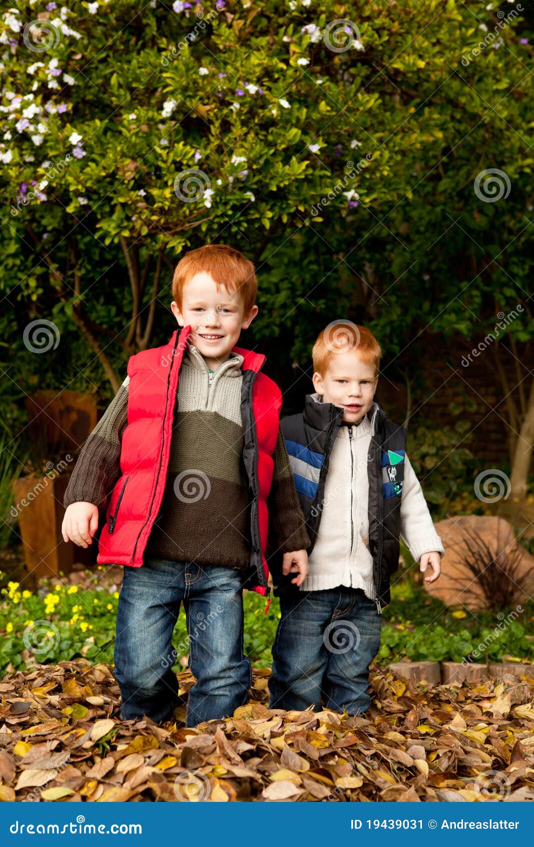 Two Happy, Smiling Brothers Standing in a Pile of Stock Image - Image ...