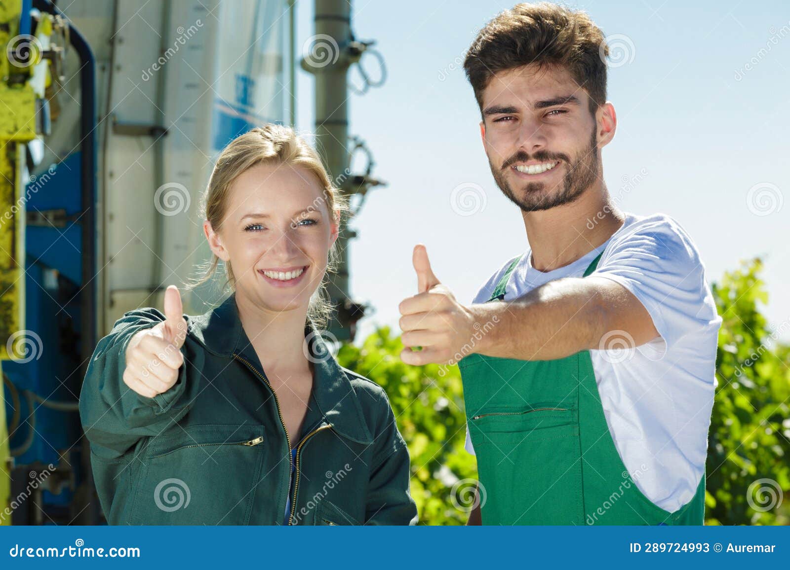 Two Happy Workers in Vineyards Show Thumbs Up Stock Image - Image of ...