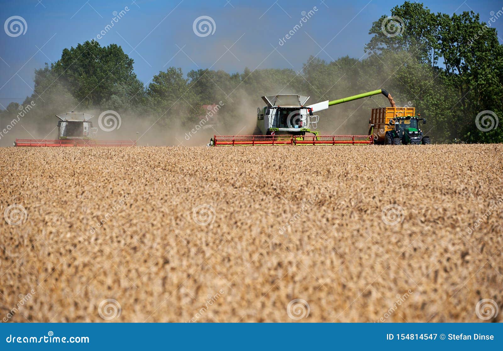 Two Harvester Unloading Corn on Tractor Stock Image - Image of wheat ...