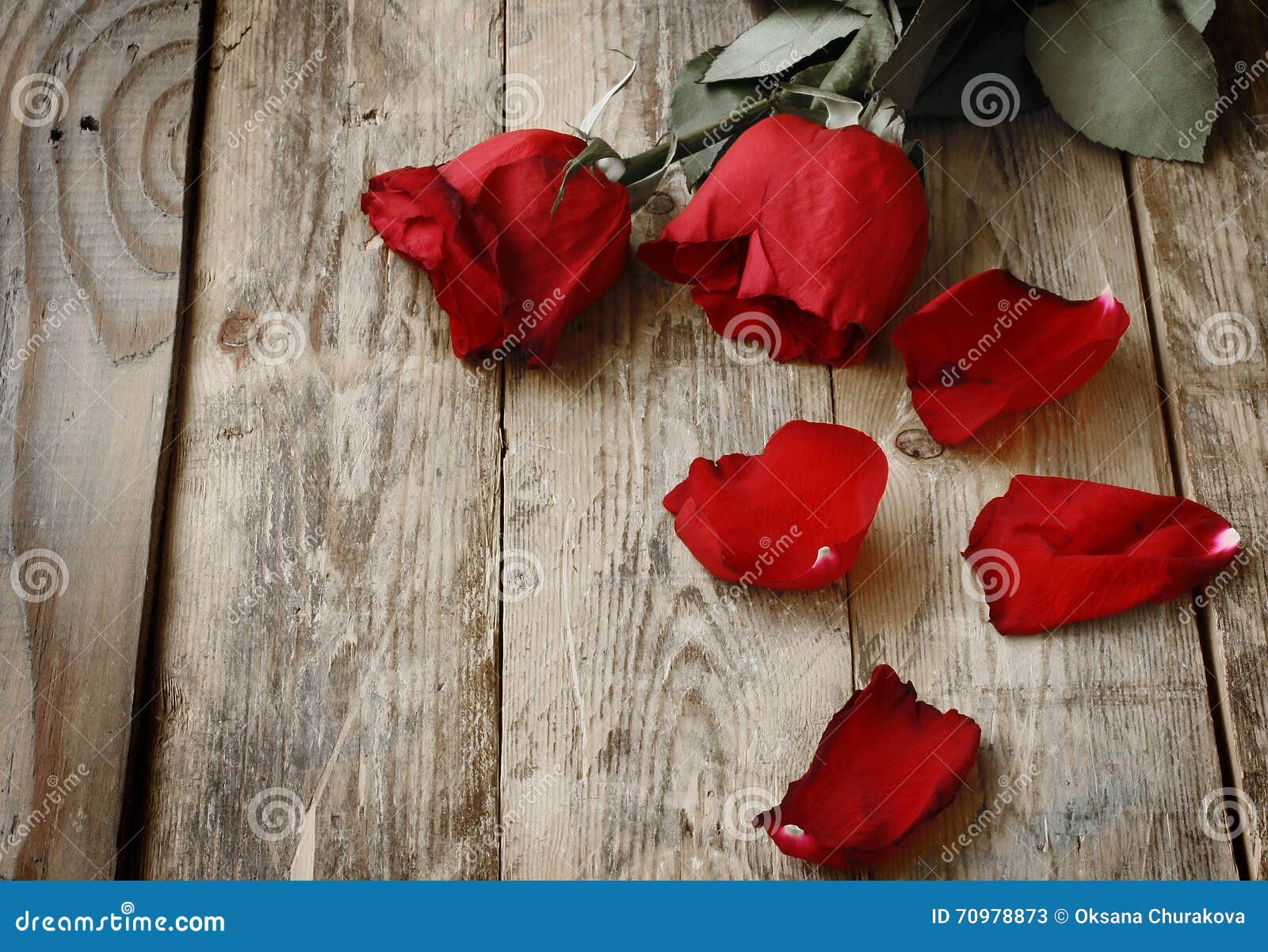 Two have wilted red roses stock image. Image of dark - 70978873