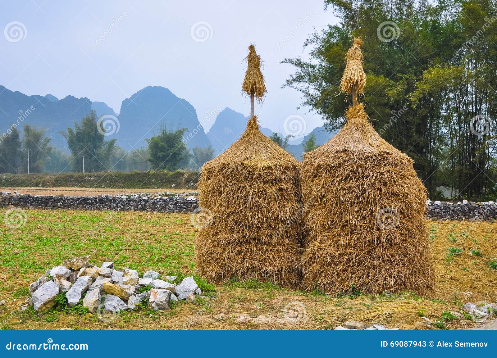 Two Haystacks in the Background of Mountains and Bamboo Stock Image ...