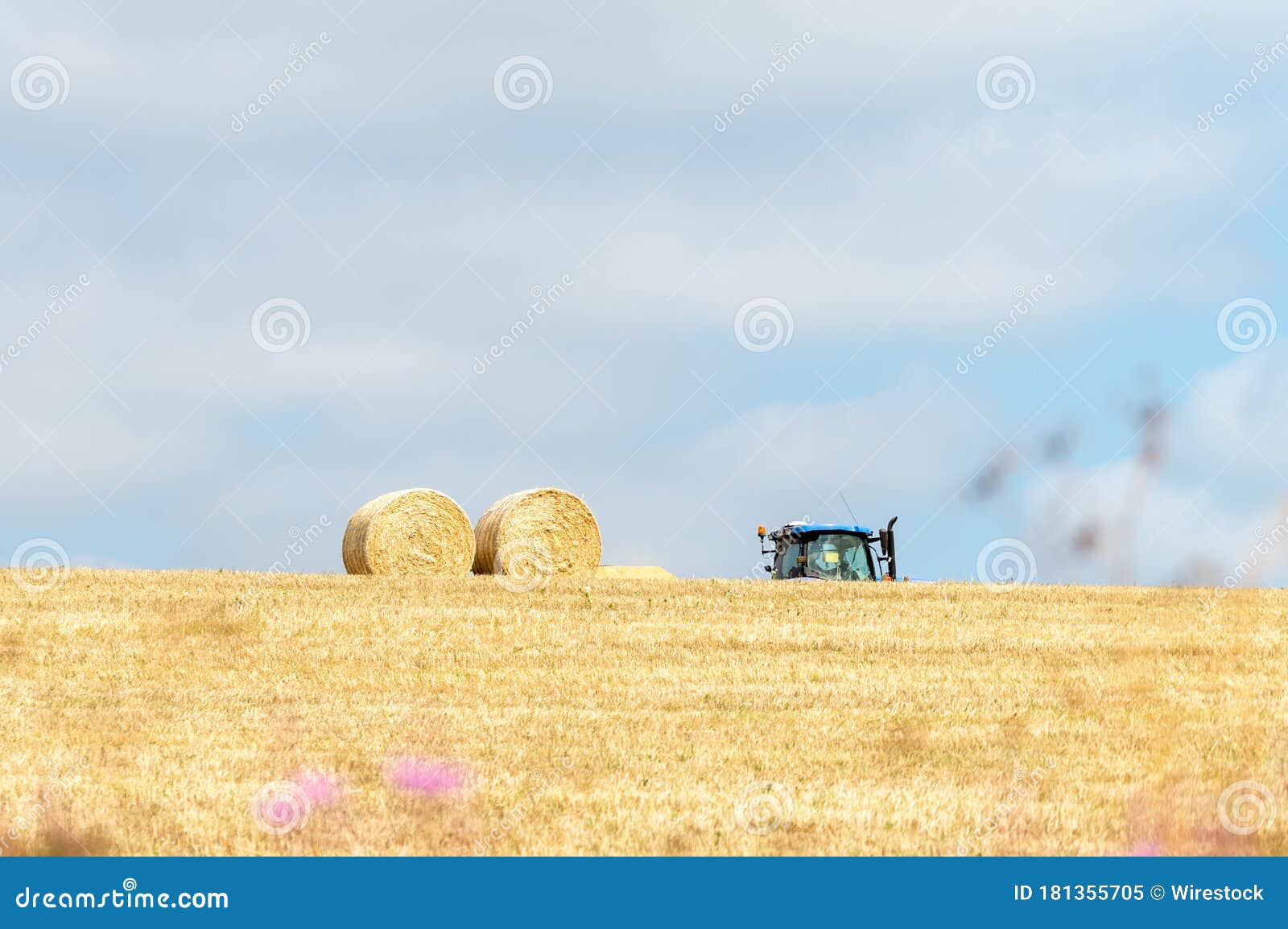 Haystacks in a Field Covered in the Grass Under a Cloudy Sky and ...