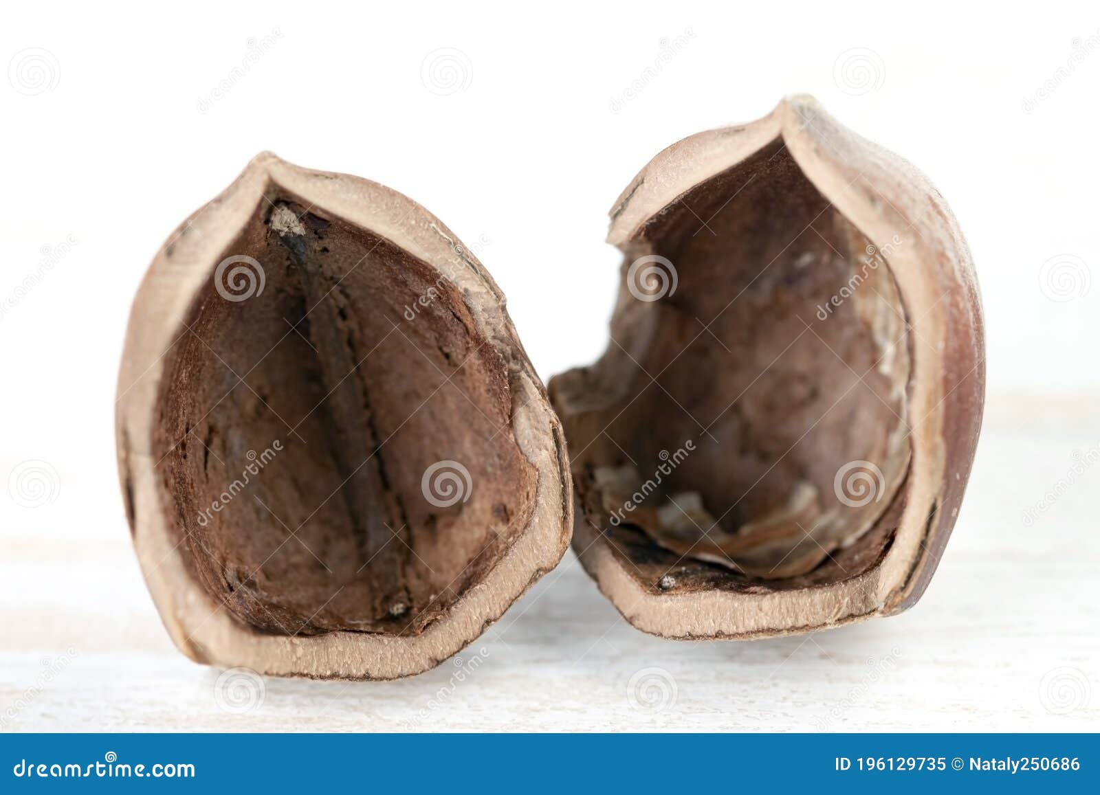 Two Hazelnut Filbert Empty Halves without Nut Inside on Shabby White ...