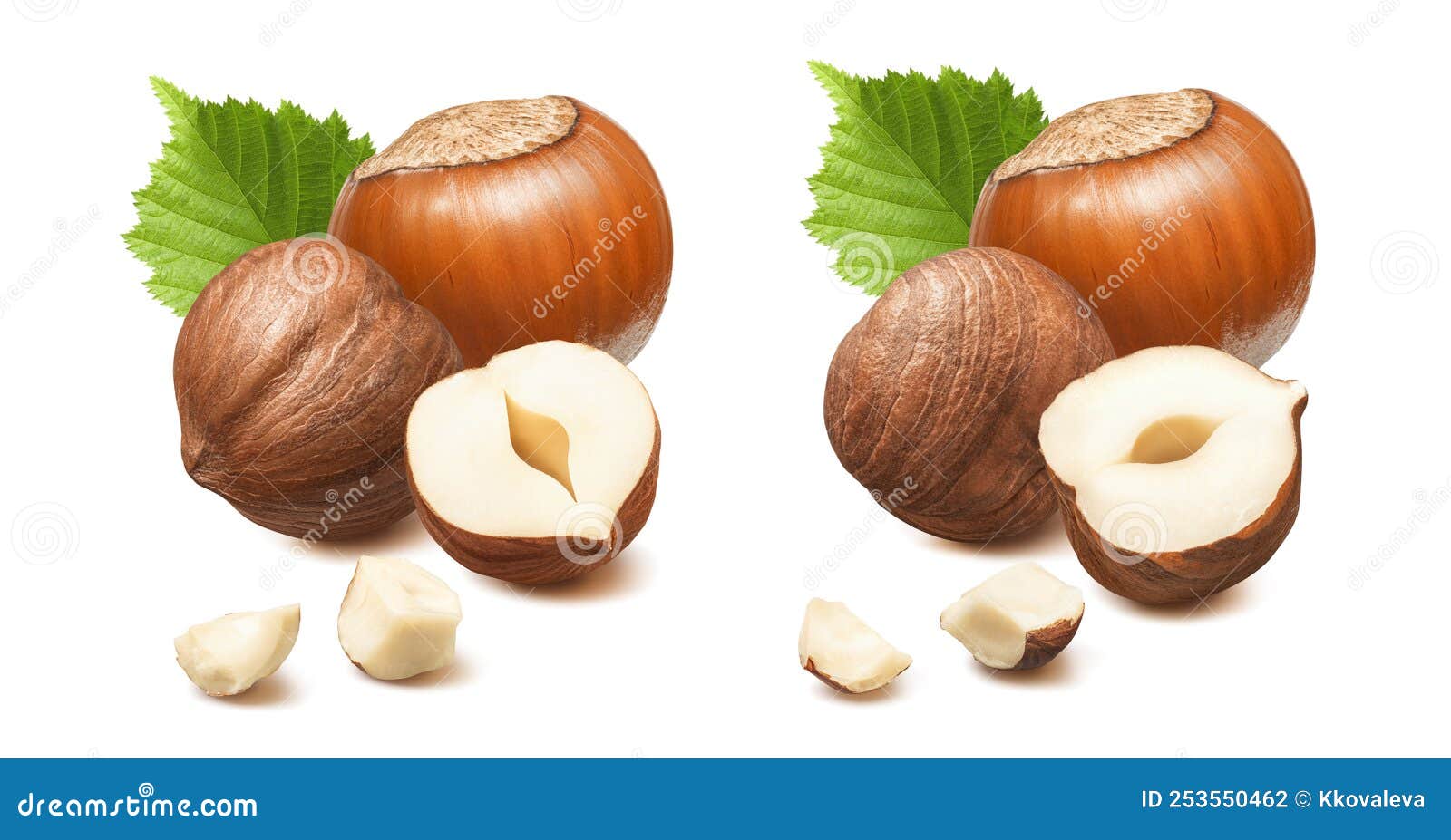 Two Hazelnut Groups with Small Pieces and Leaves Stock Photo - Image of ...