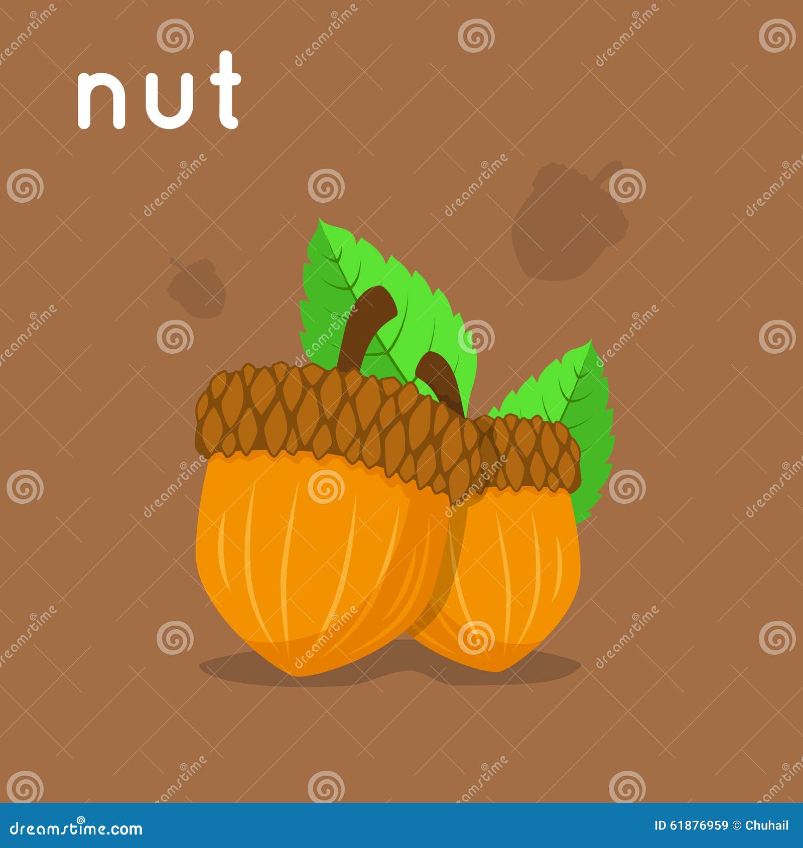 Two hazelnuts with leaves stock vector. Illustration of dictionary ...