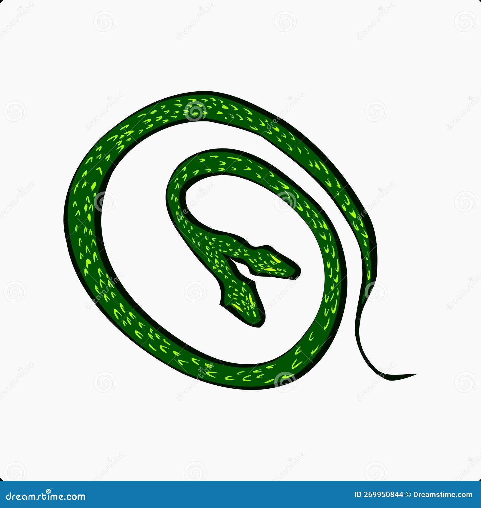Two Head Snake Make Circle Shape Stock Vector - Illustration of green ...