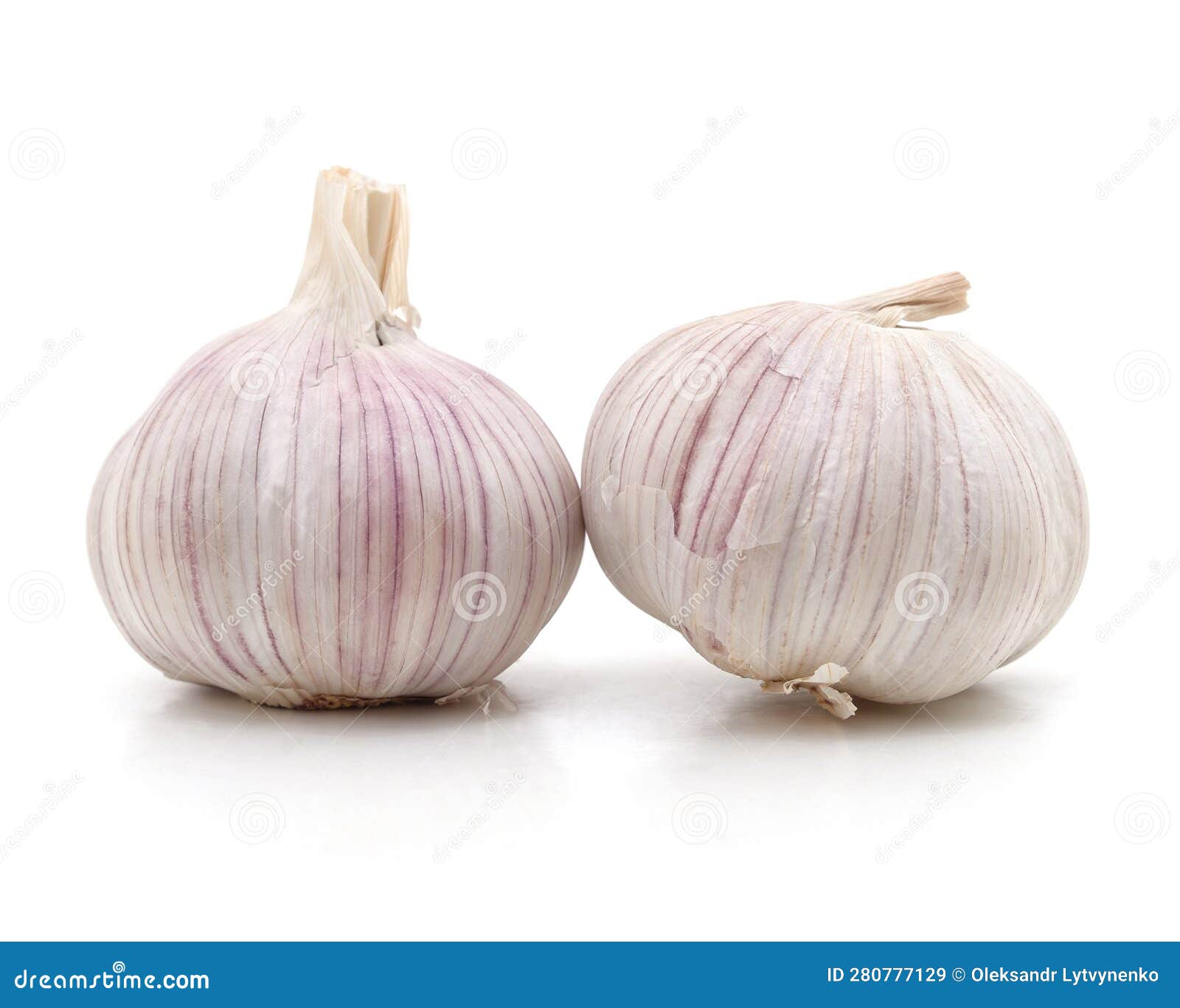Two heads of garlic stock image. Image of vitamin, food - 280777129