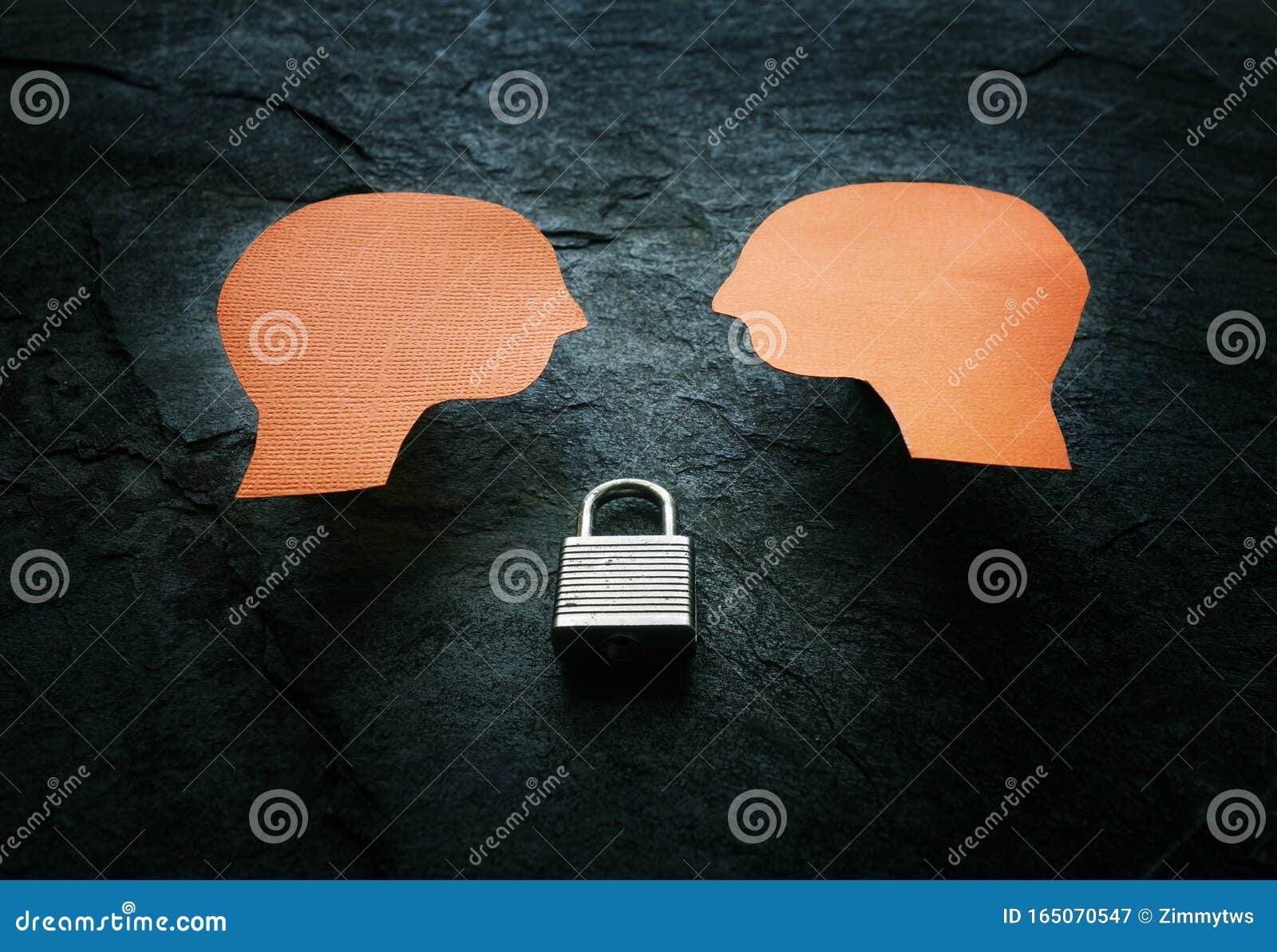 Two heads and lock stock image. Image of code, invent - 165070547