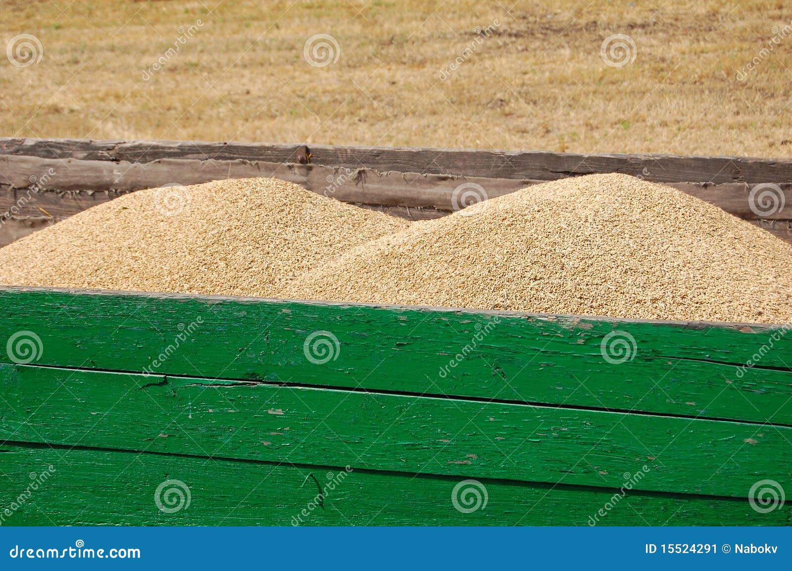 Two heaps of grain stock image. Image of heap, combain - 15524291