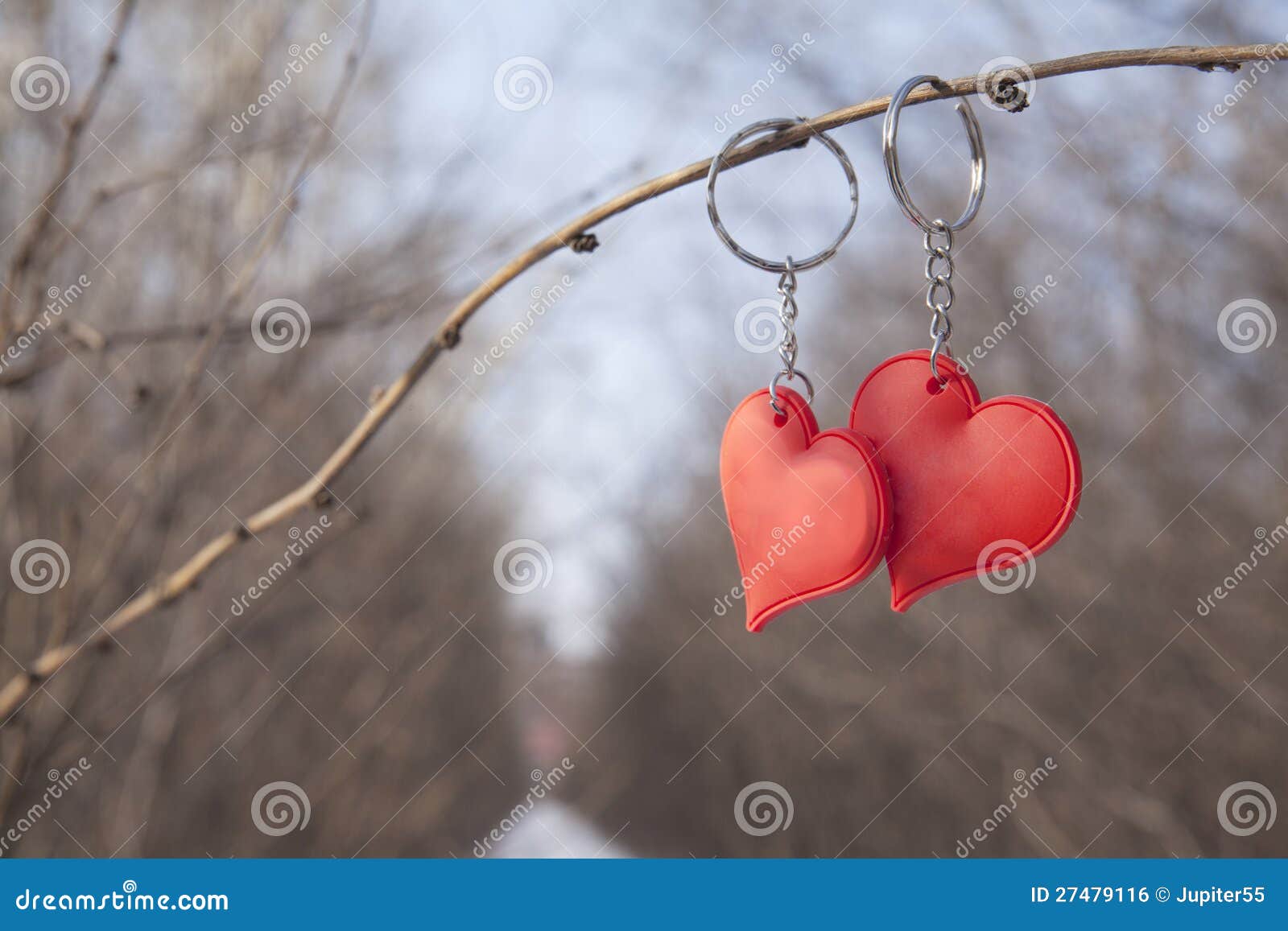 Two Heart Pendants on Metal Chain Stock Photo - Image of celebration ...