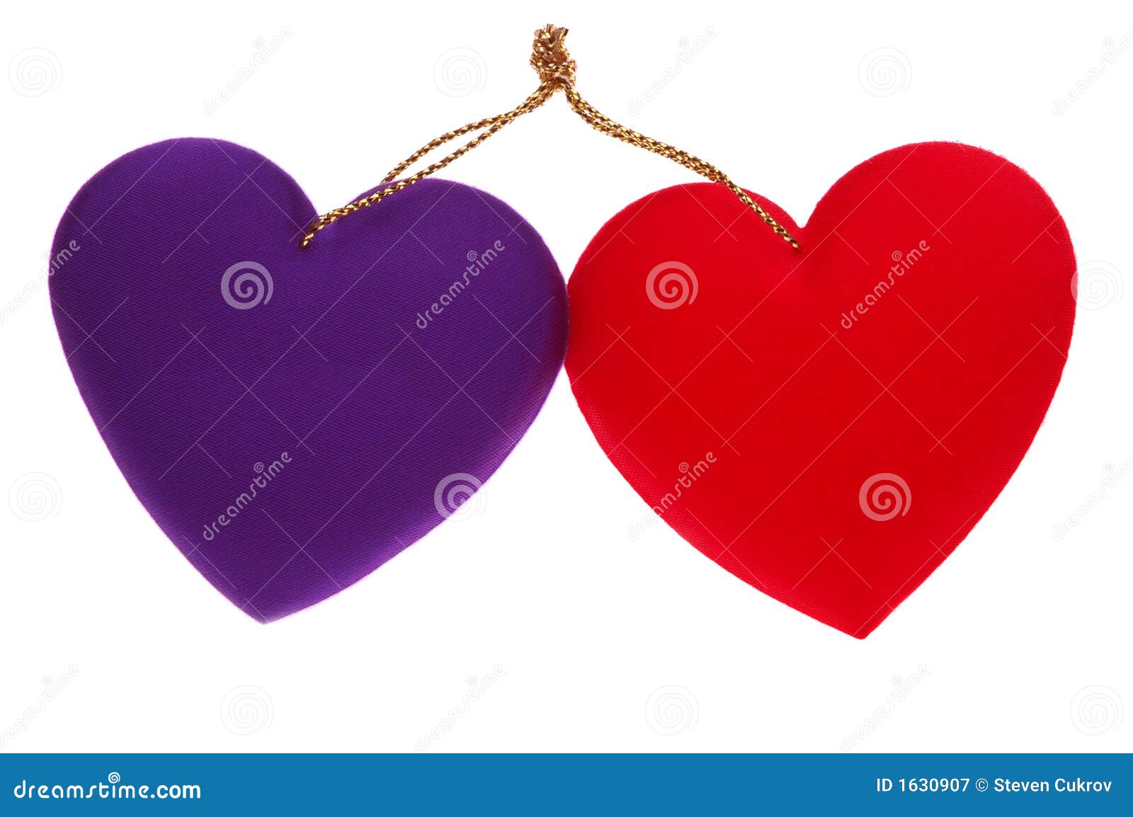 Two Hearts stock image. Image of gold, love, union, tied - 1630907