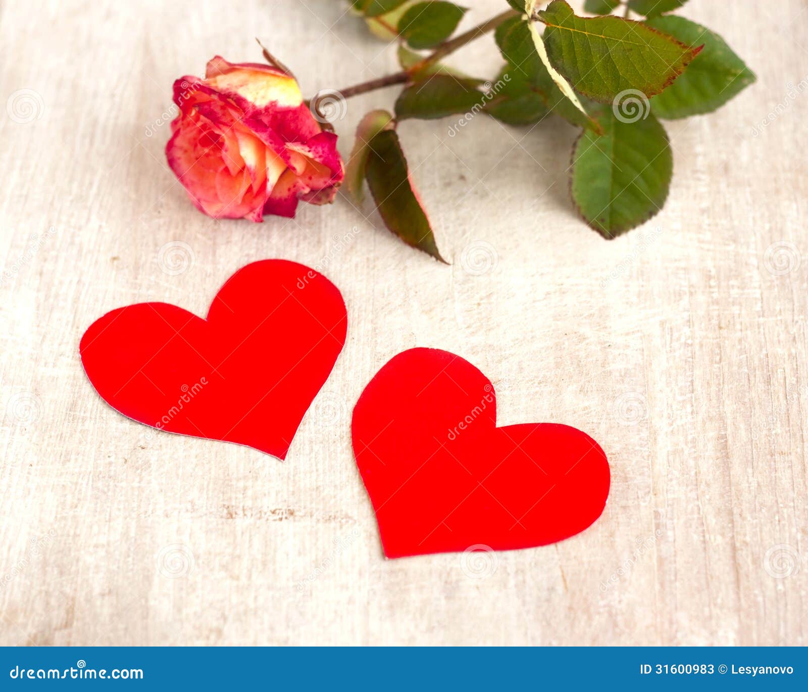 Two hearts and rose stock image. Image of heart, leaf - 31600983
