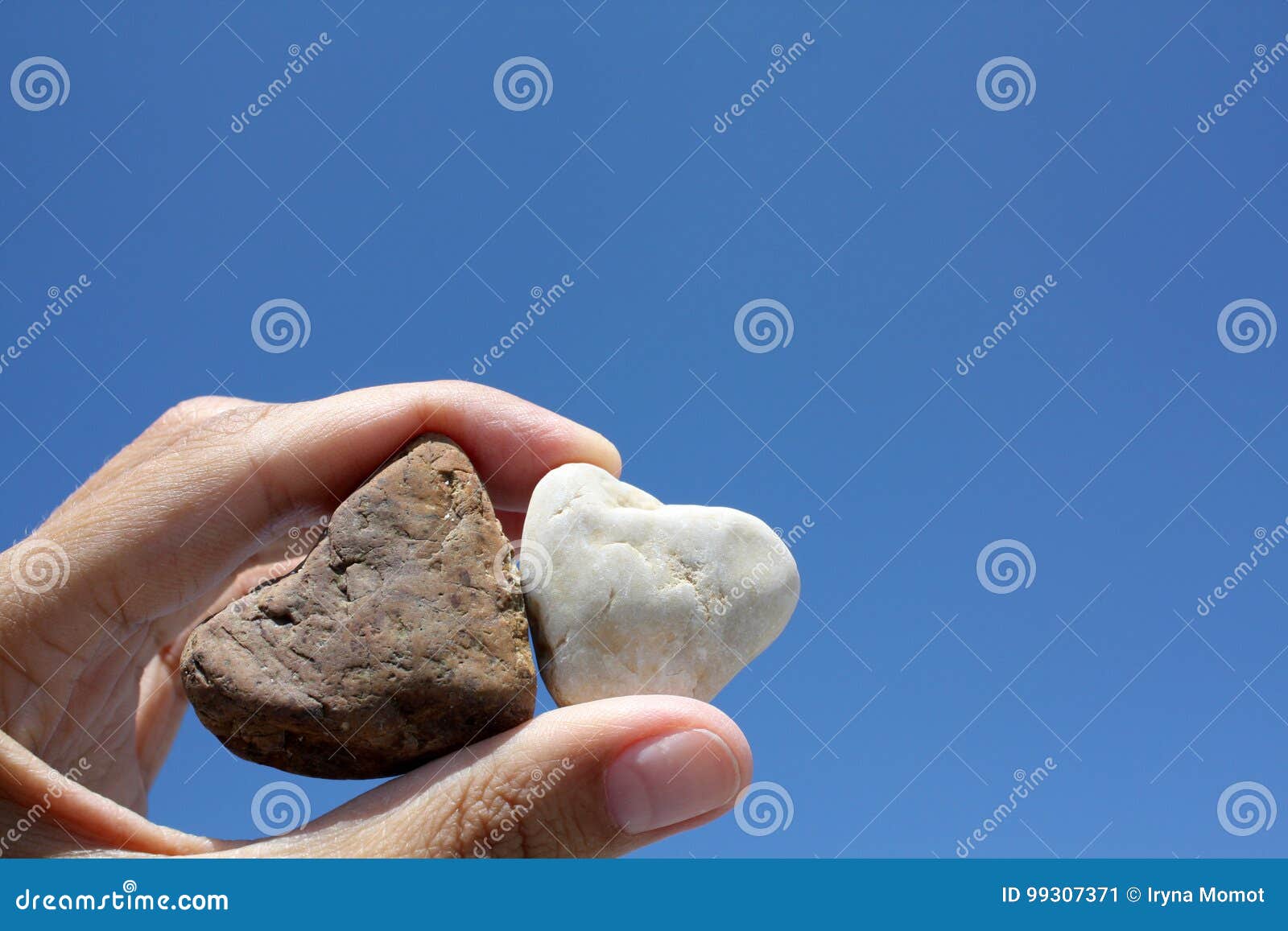 Two hearts stock image. Image of couple, isolated, heart - 99307371