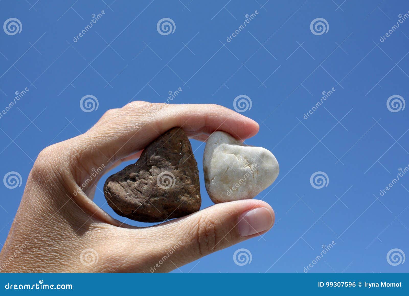 Two hearts stock photo. Image of hearts, white, brown - 99307596