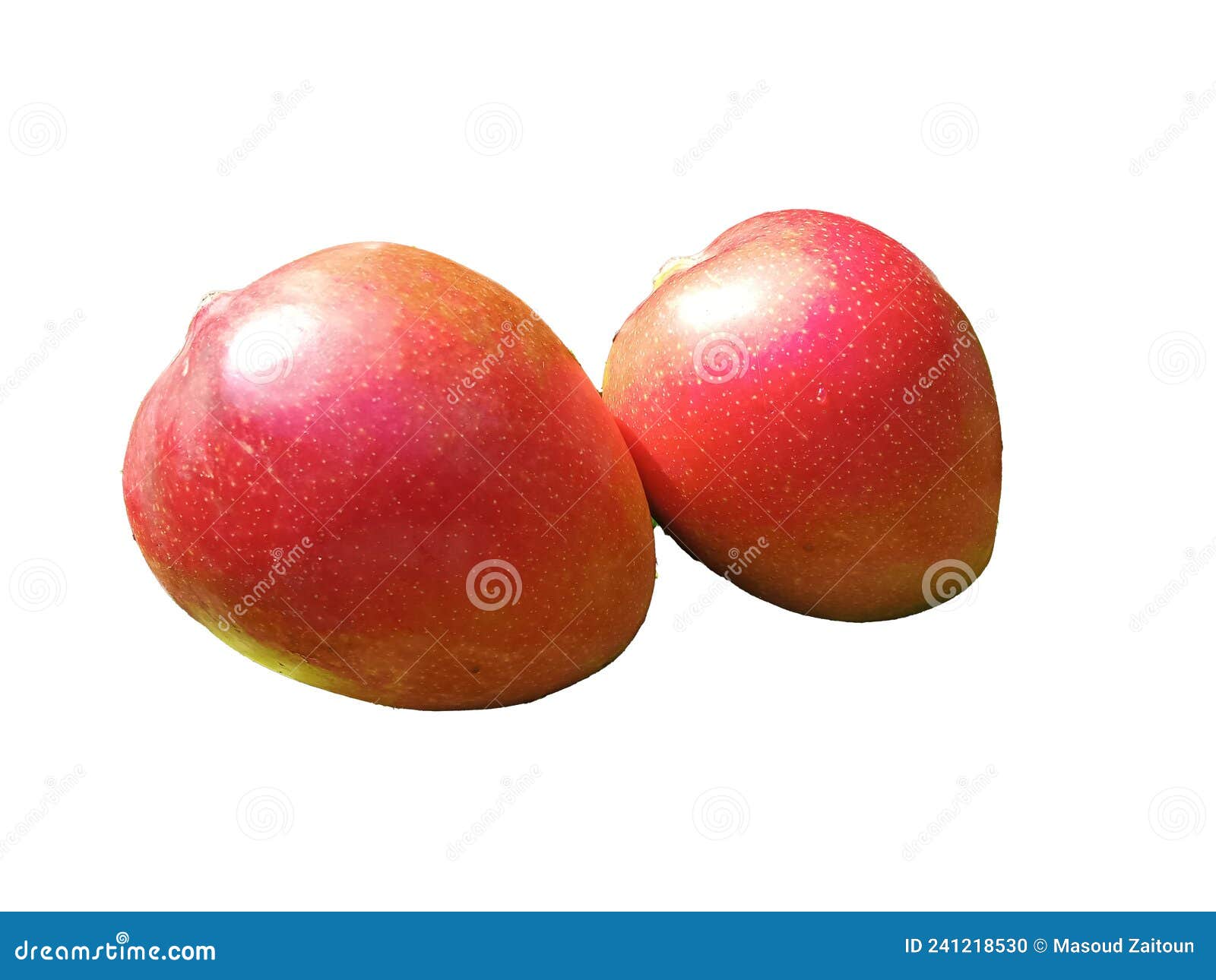 Two Heidi Mango Fruit Isolated on White Background Stock Photo - Image ...