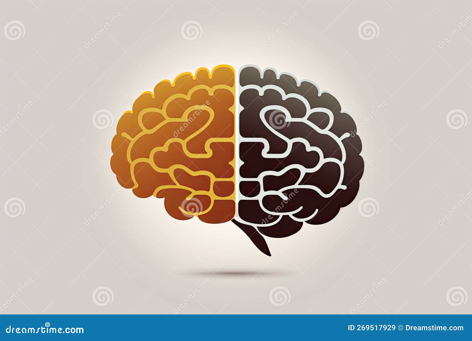 The Two Hemispheres of the Human Brain. the Study of Human Anatomy ...