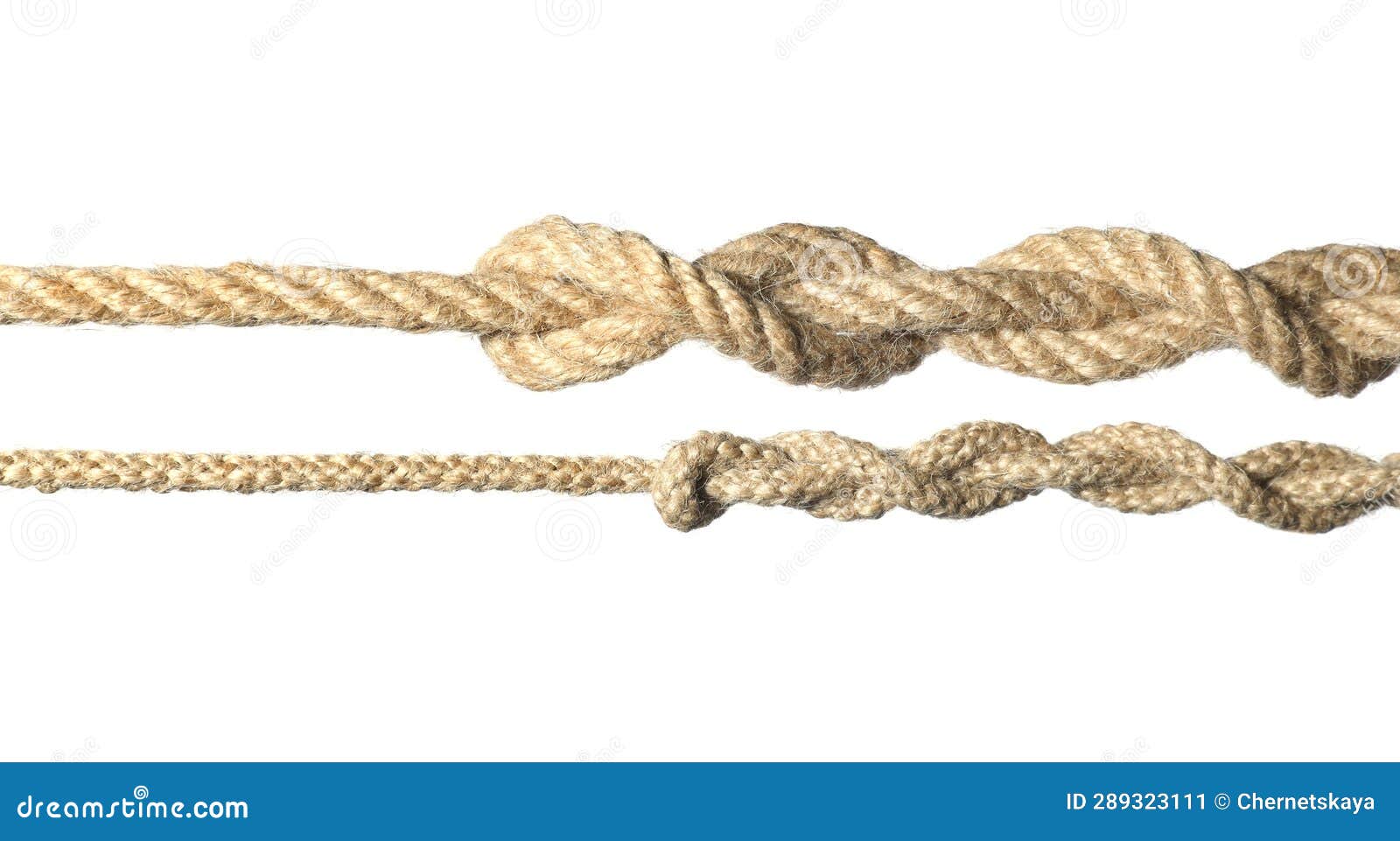 Two Hemp Ropes with Knots Isolated on White Stock Image - Image of ...