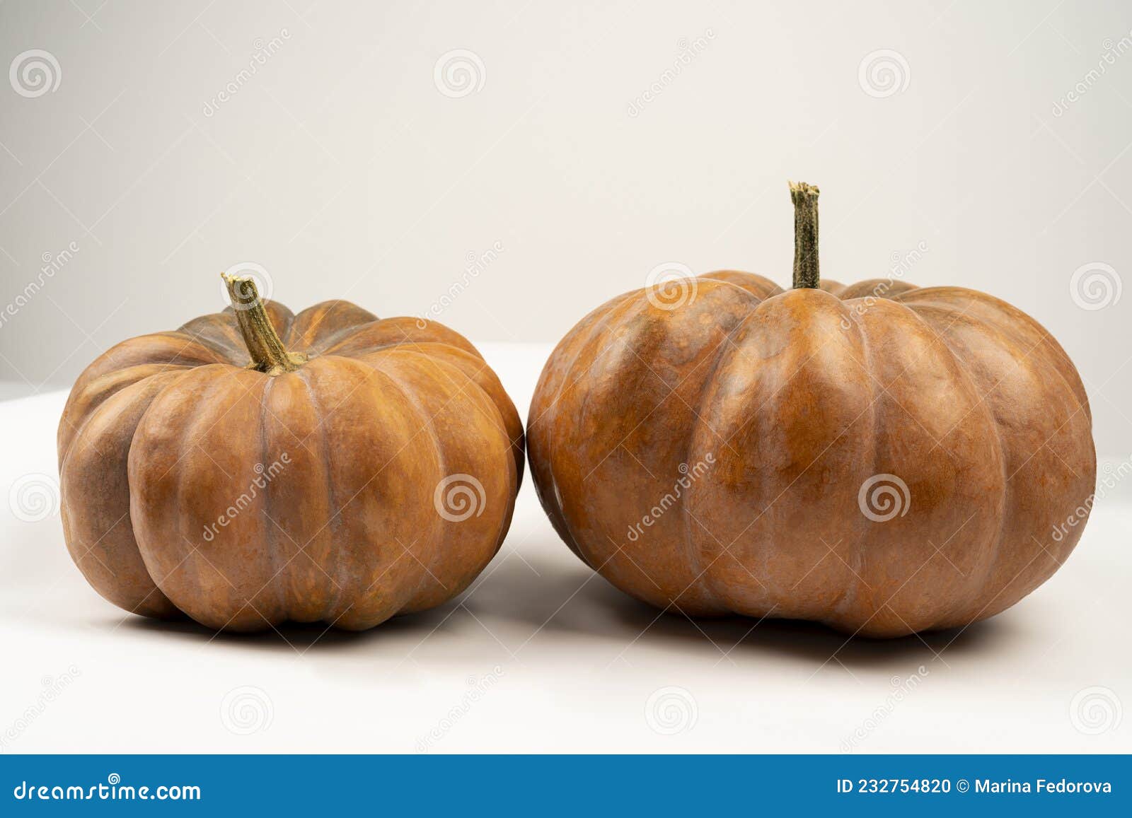 Two High Resolution Pumpkins Isolated on a White Background Stock Photo ...