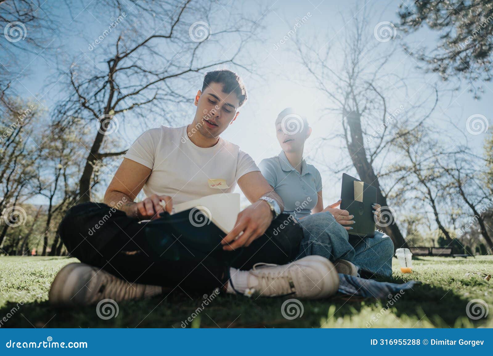 High School Students Collaborating on a Project in a Sunny Campus Park ...