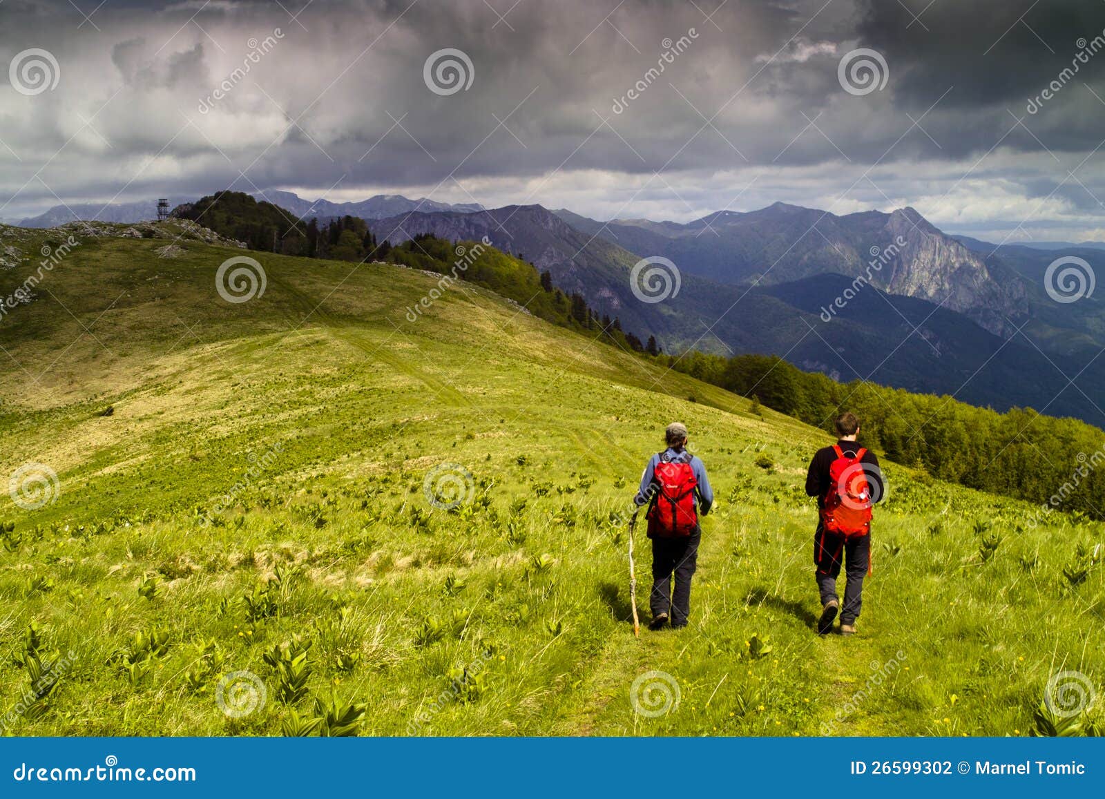 Two Hikers on Green Mountain Meadow Stock Photo - Image of long ...