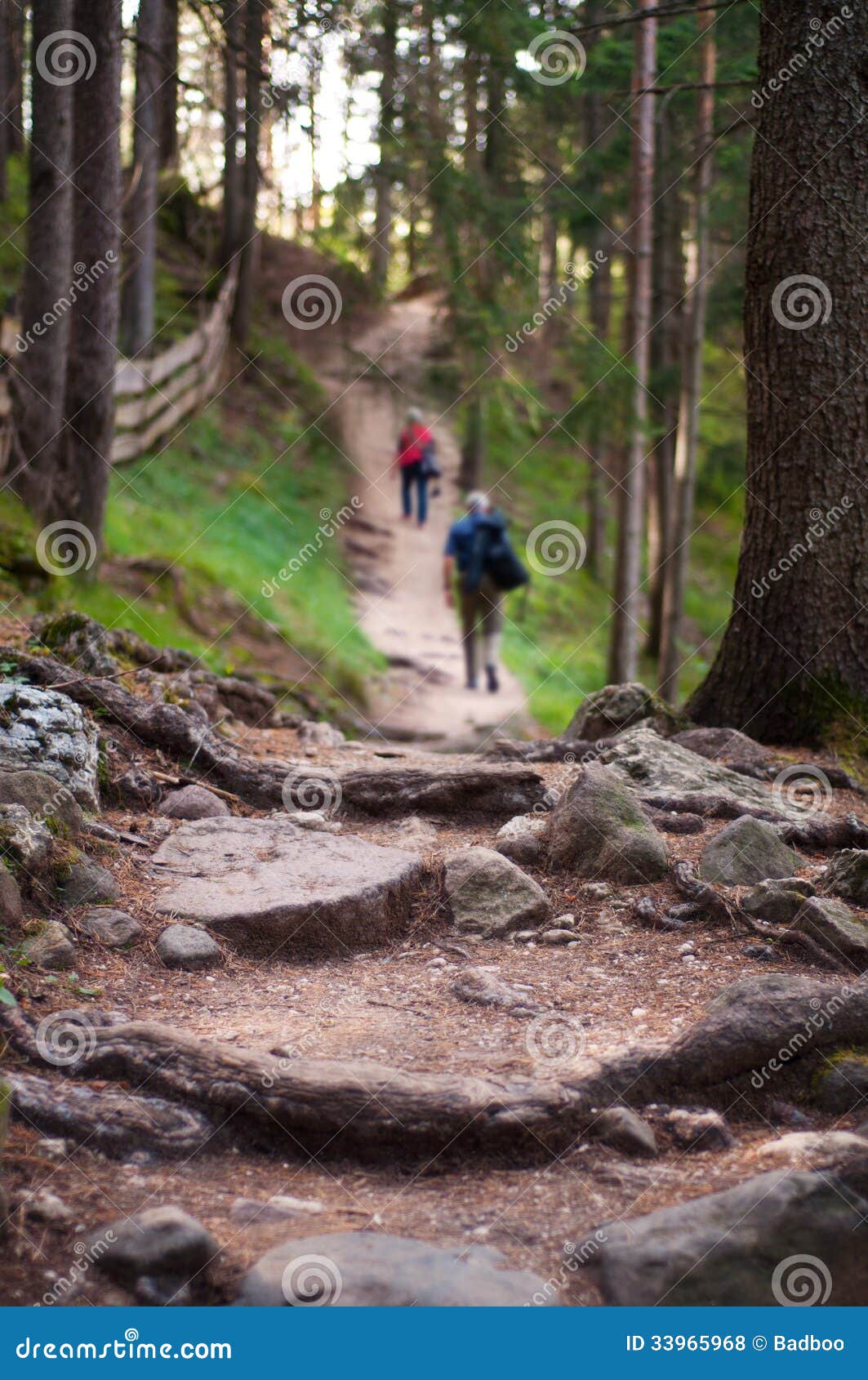 Two Hikers on a Mountain Trail Stock Photo - Image of challenge ...