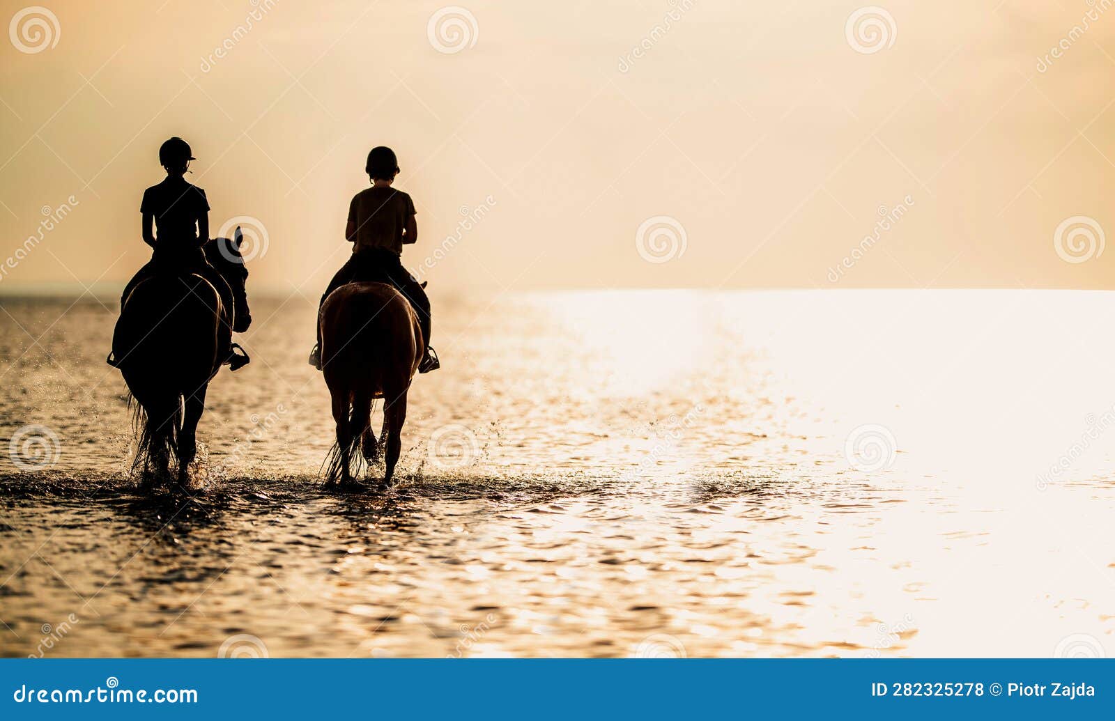 Two Horse Riders in the Ocean at the Sunset. Equestrian Theme Stock ...