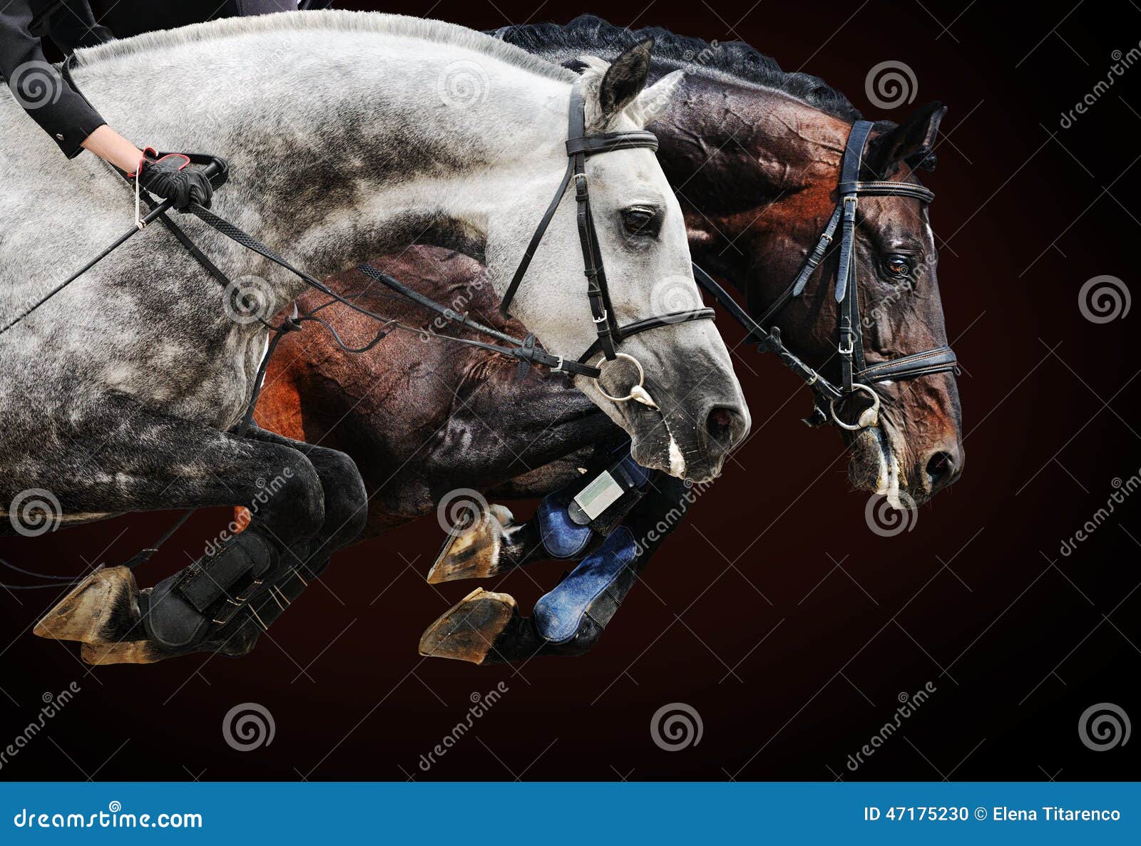 Cool Horse Jumping Backgrounds