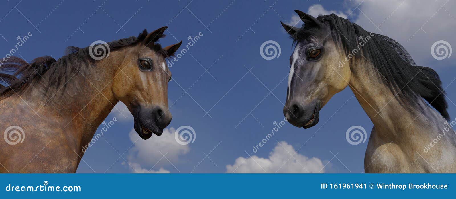 Two Horses Looking at Each Other Stock Illustration - Illustration of ...